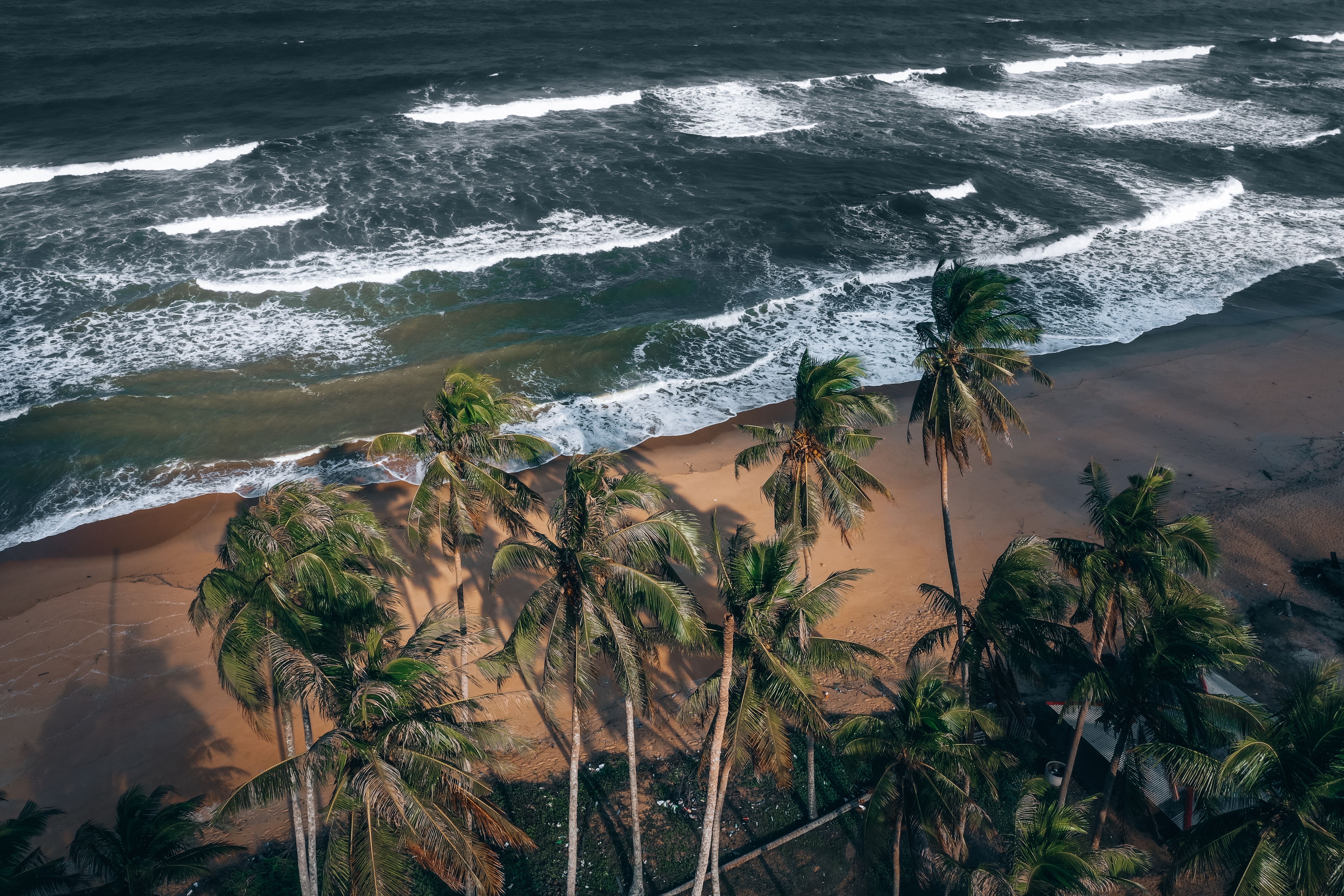 Aerial Shot of Waves Rolling on a Tropical Beach with Palm Trees · Free ...