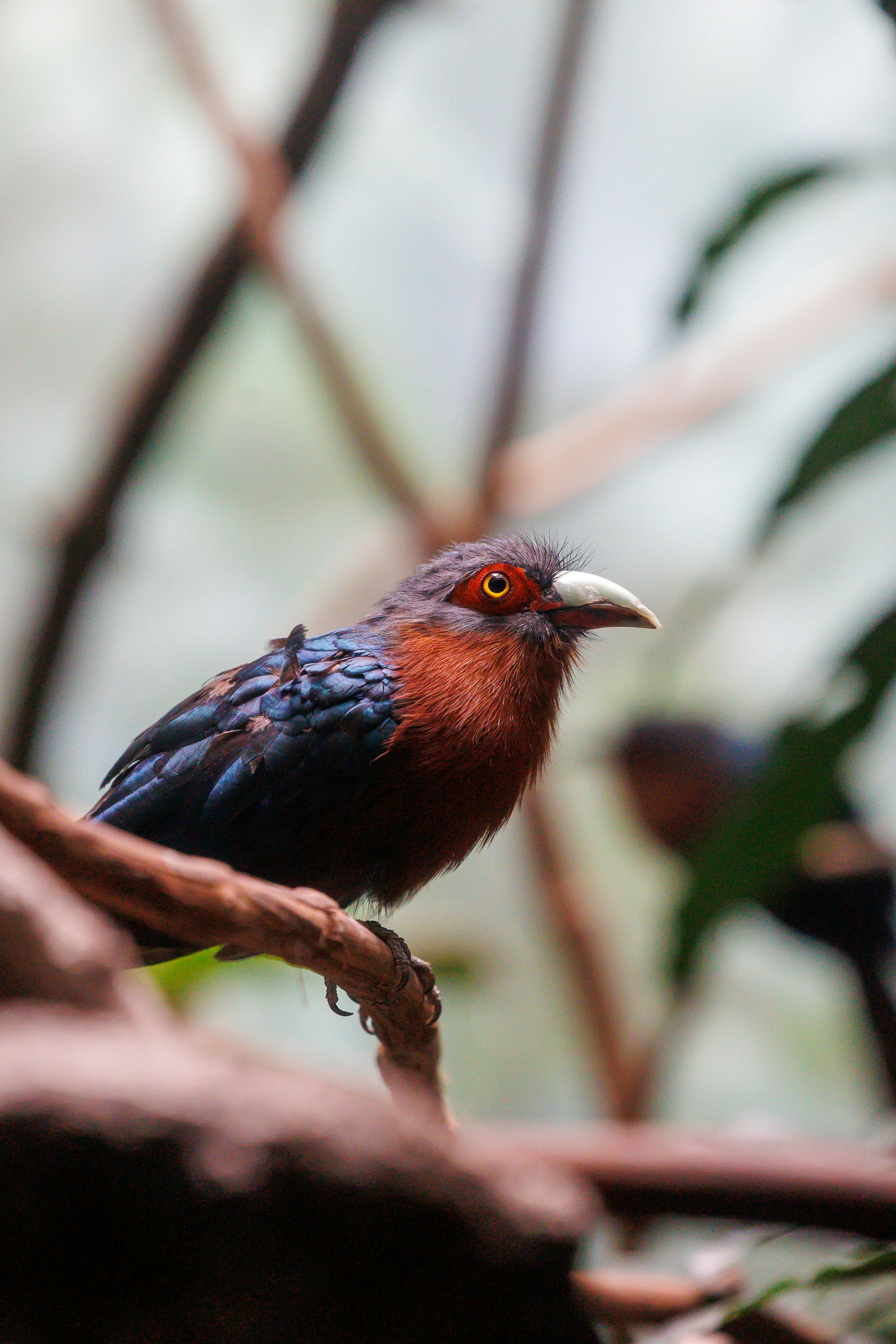 New Creature Photos, Download The BEST Free New Creature Stock Photos ...