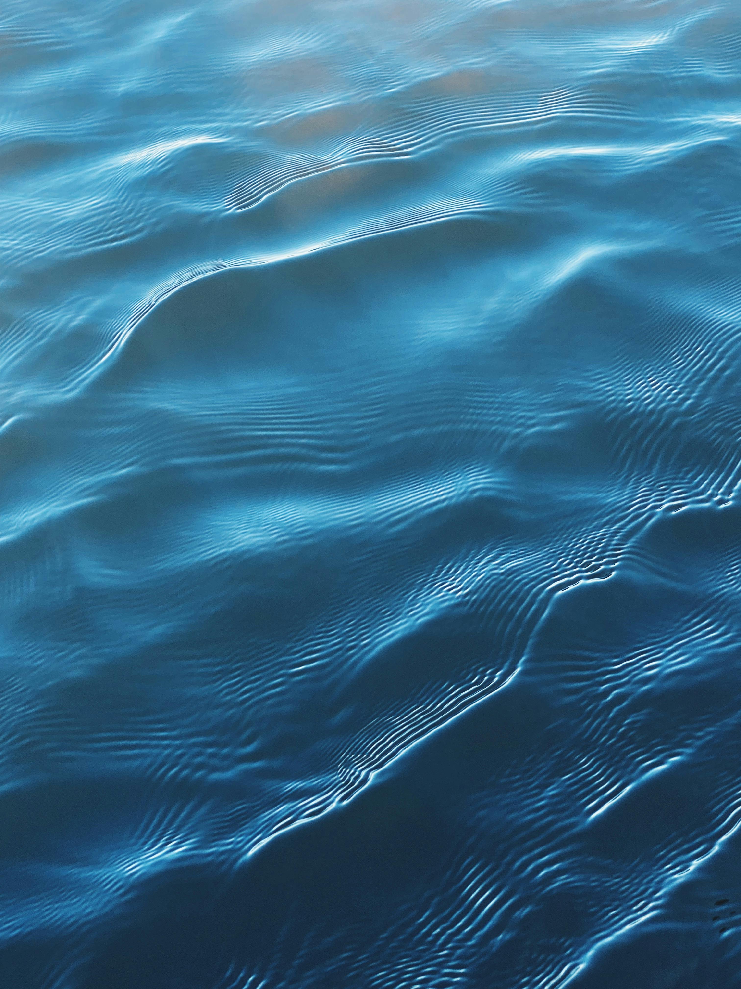 Ripples on Water · Free Stock Photo