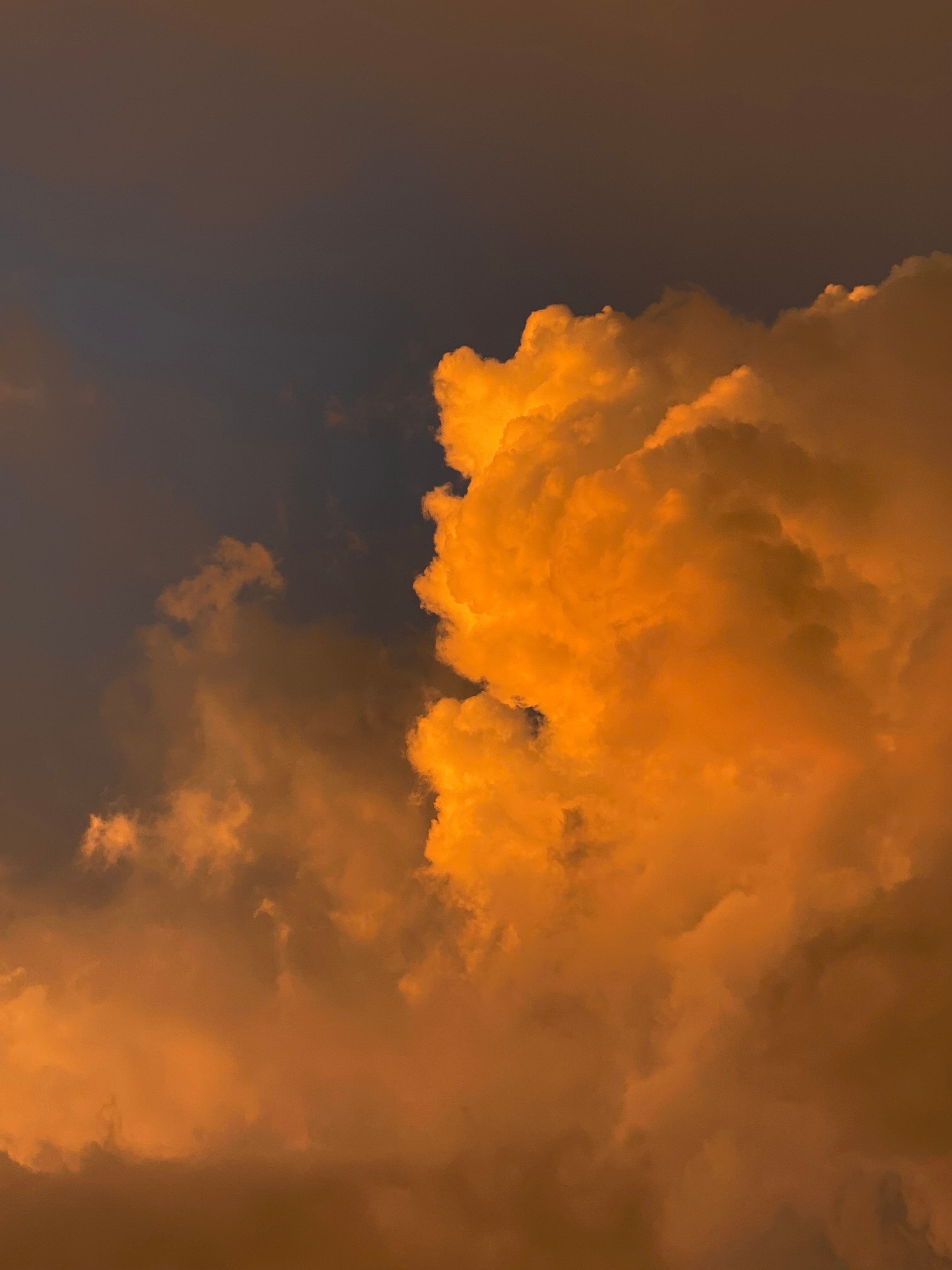 Texas Is Heaven Photos, Download The BEST Free Texas Is Heaven Stock ...