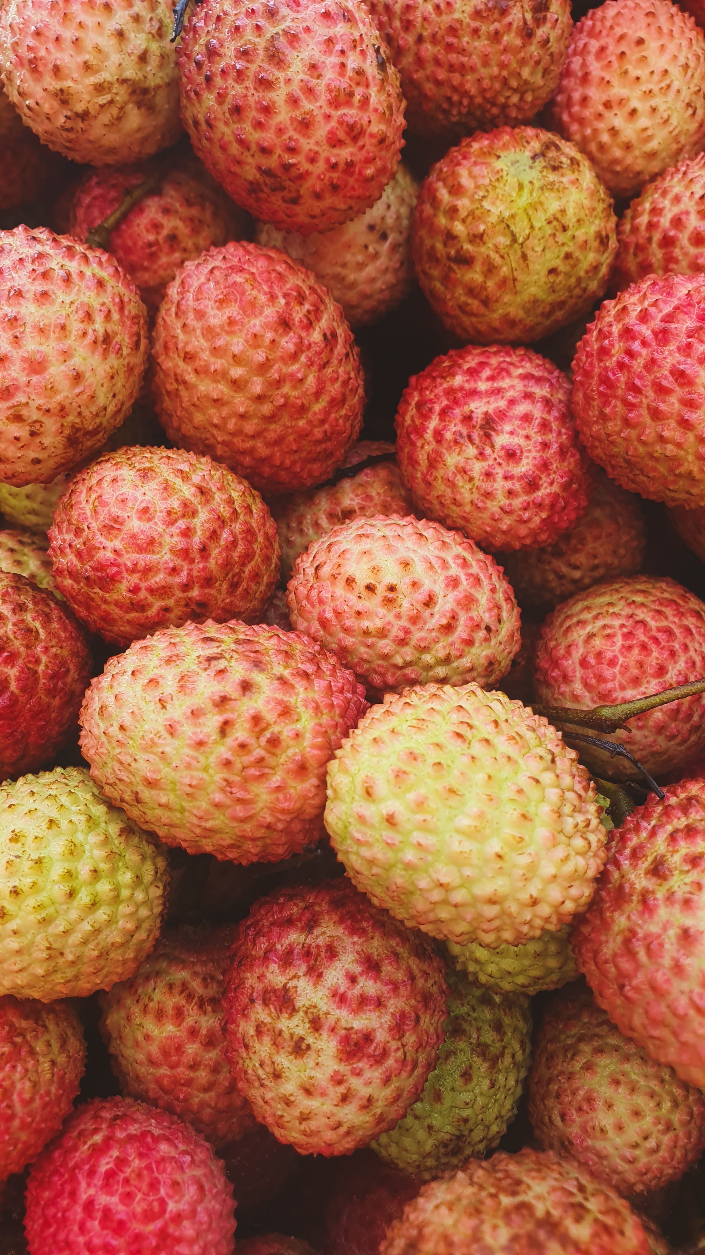 Pile of Lychee Fruits · Free Stock Photo