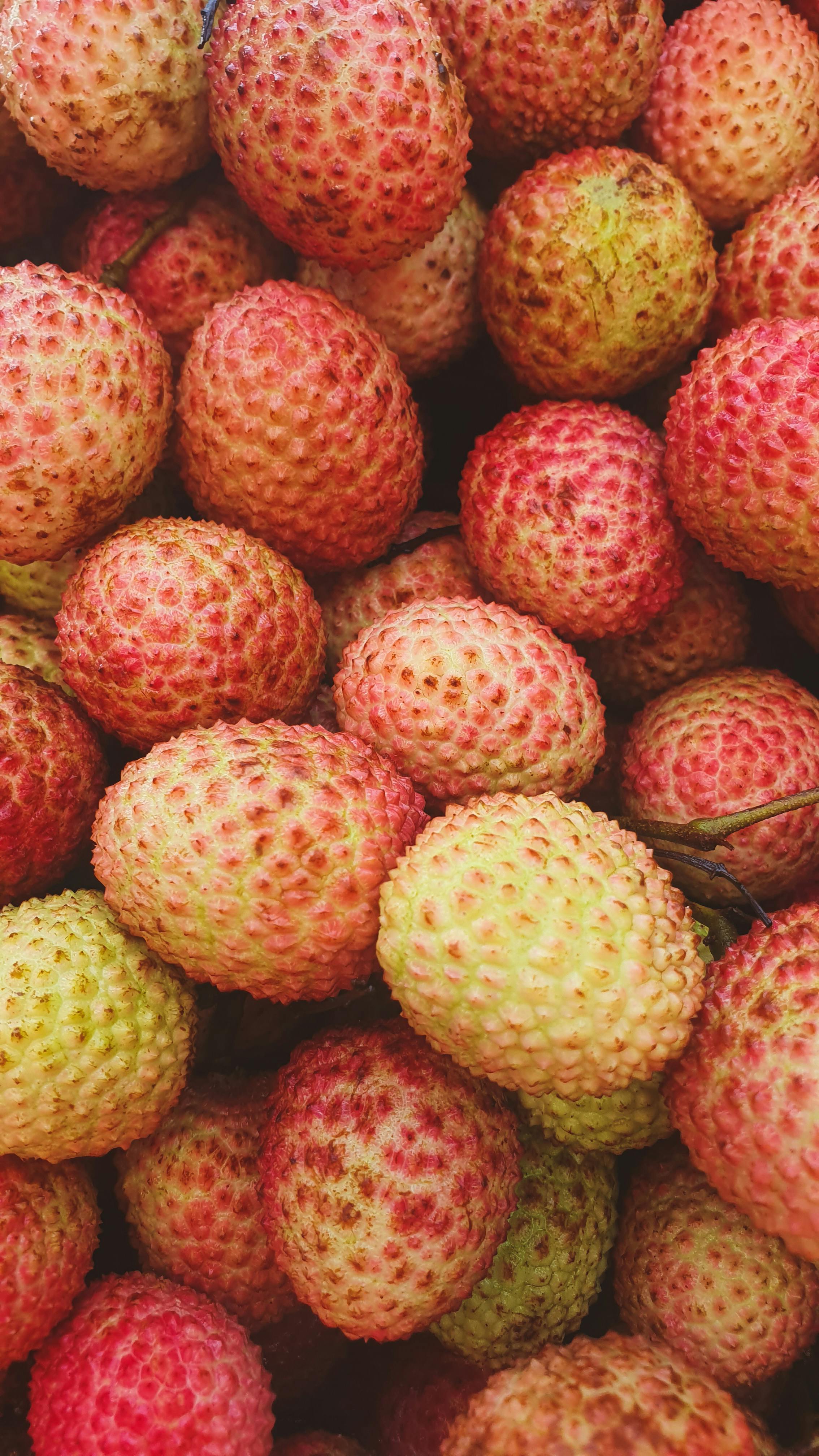 Red Round Fruit · Free Stock Photo