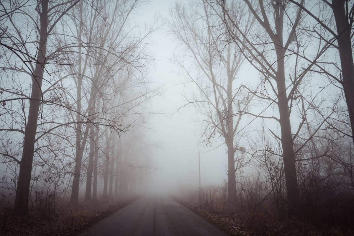 2,000+张最精彩的“Haze”图片 · 100%免费下载 · Pexels素材图片