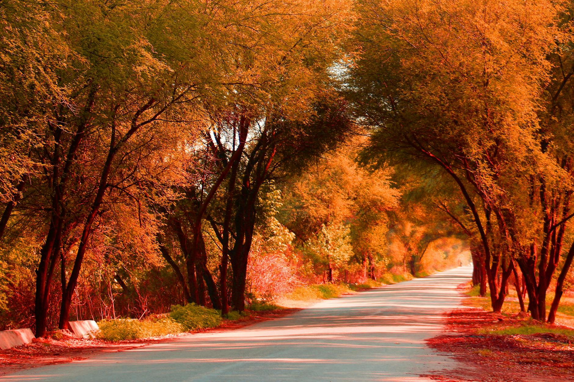 Foto Profissional Gratuita De Estrada Paisagem Panorama