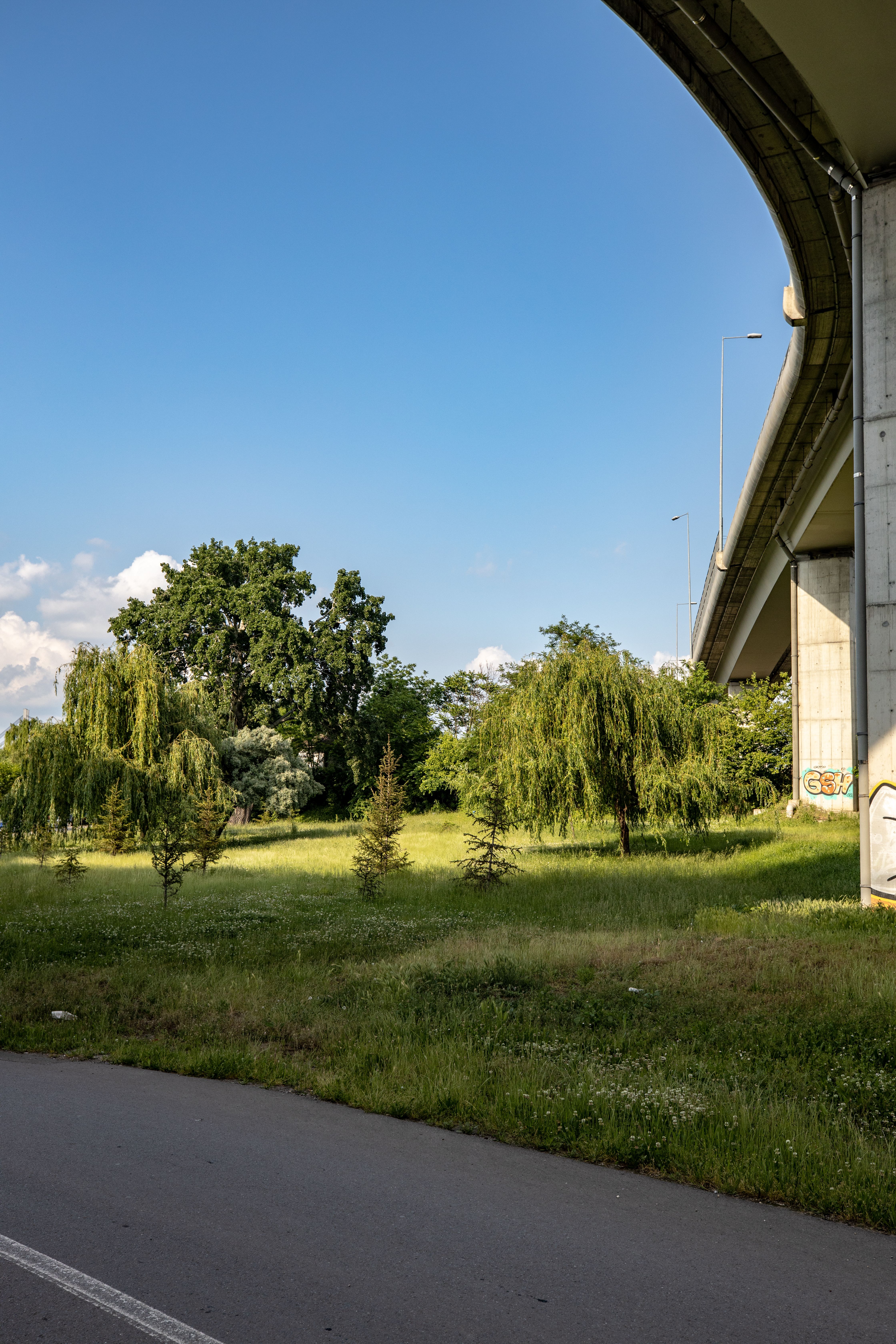 Trees near Street under Viaduct · Free Stock Photo