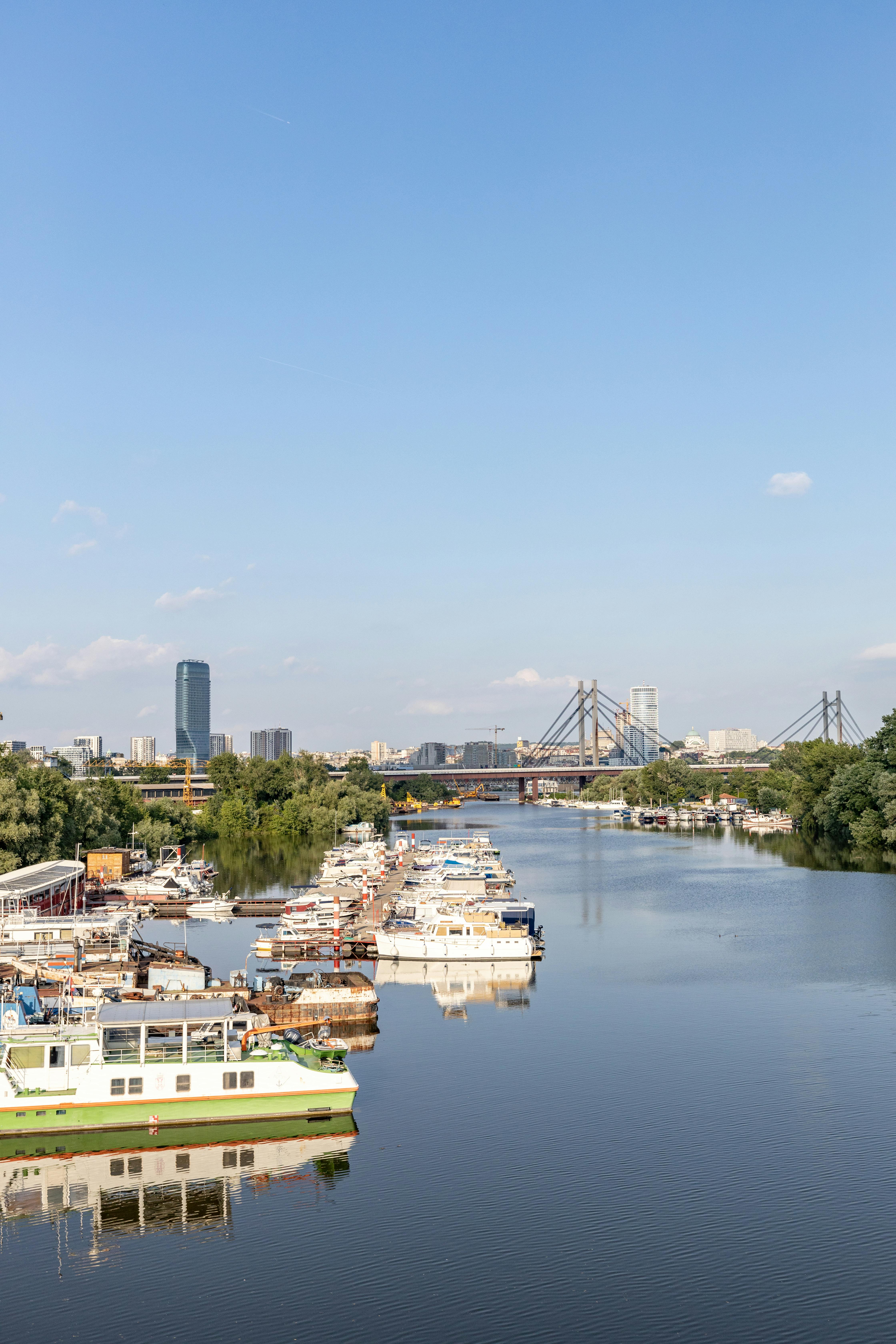 Most na Adi Bridge in Belgrade · Free Stock Photo