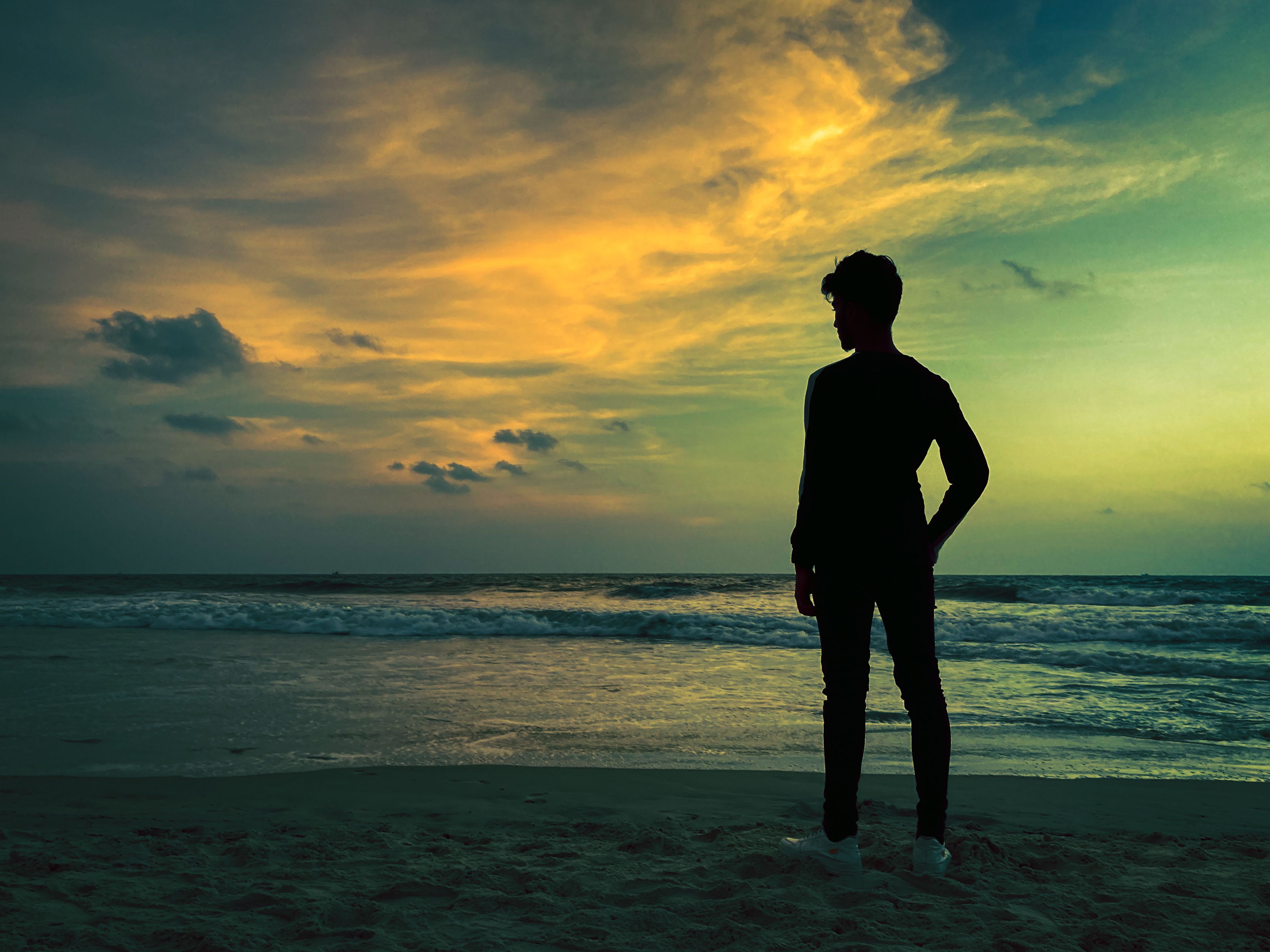 Skydon pereira - 写真