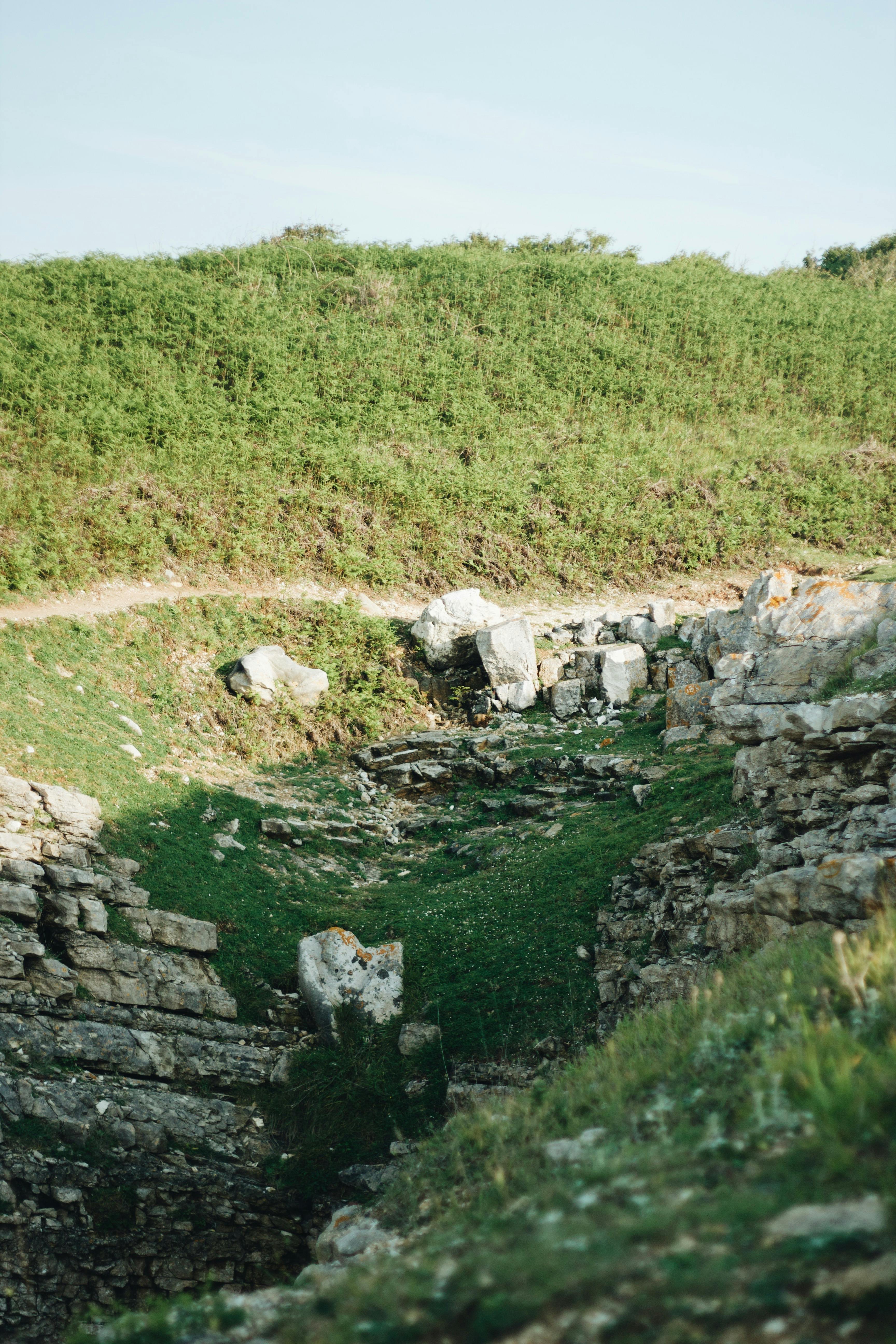 Grass Growing among Rocks in Basin · Free Stock Photo