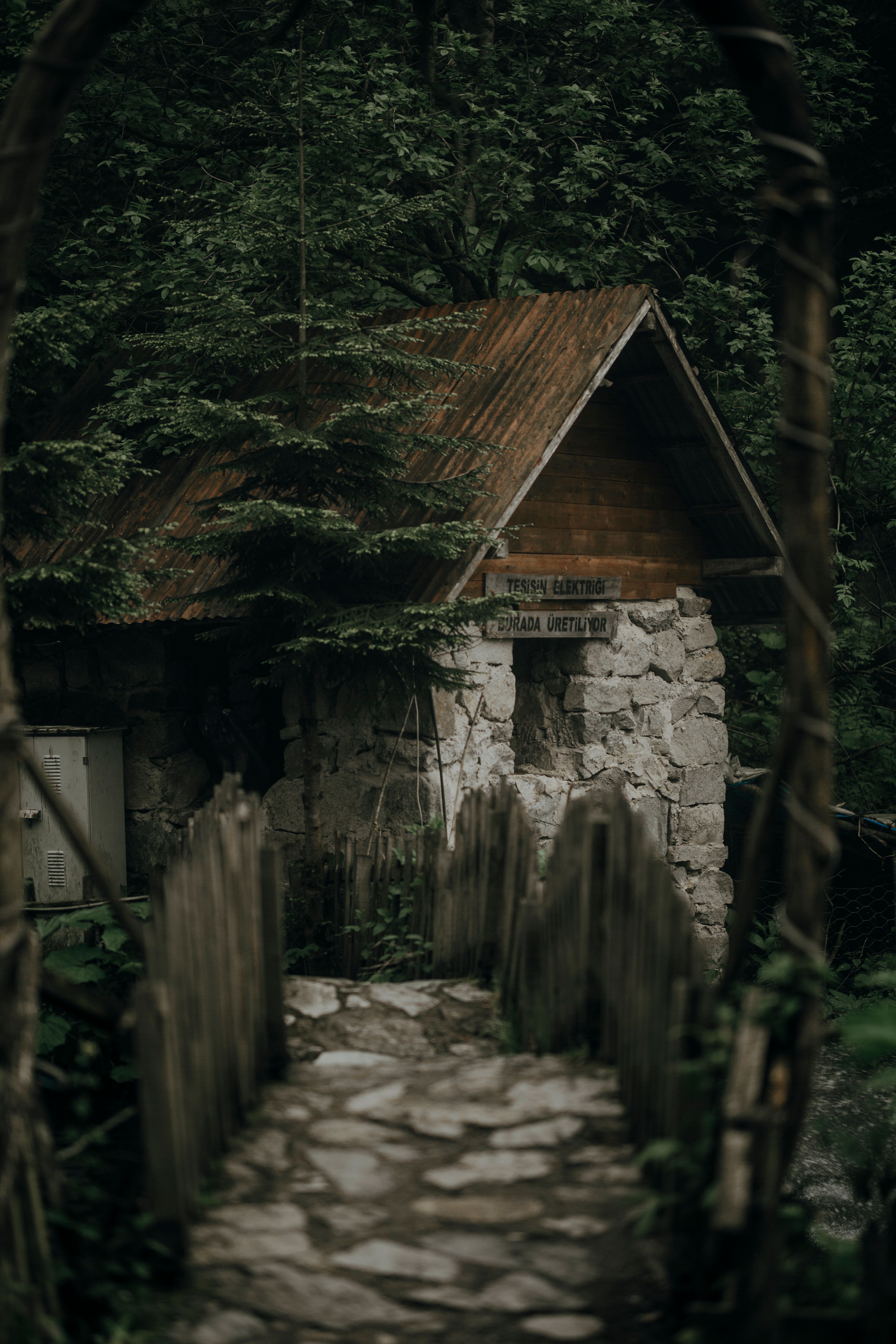 House near Forest · Free Stock Photo