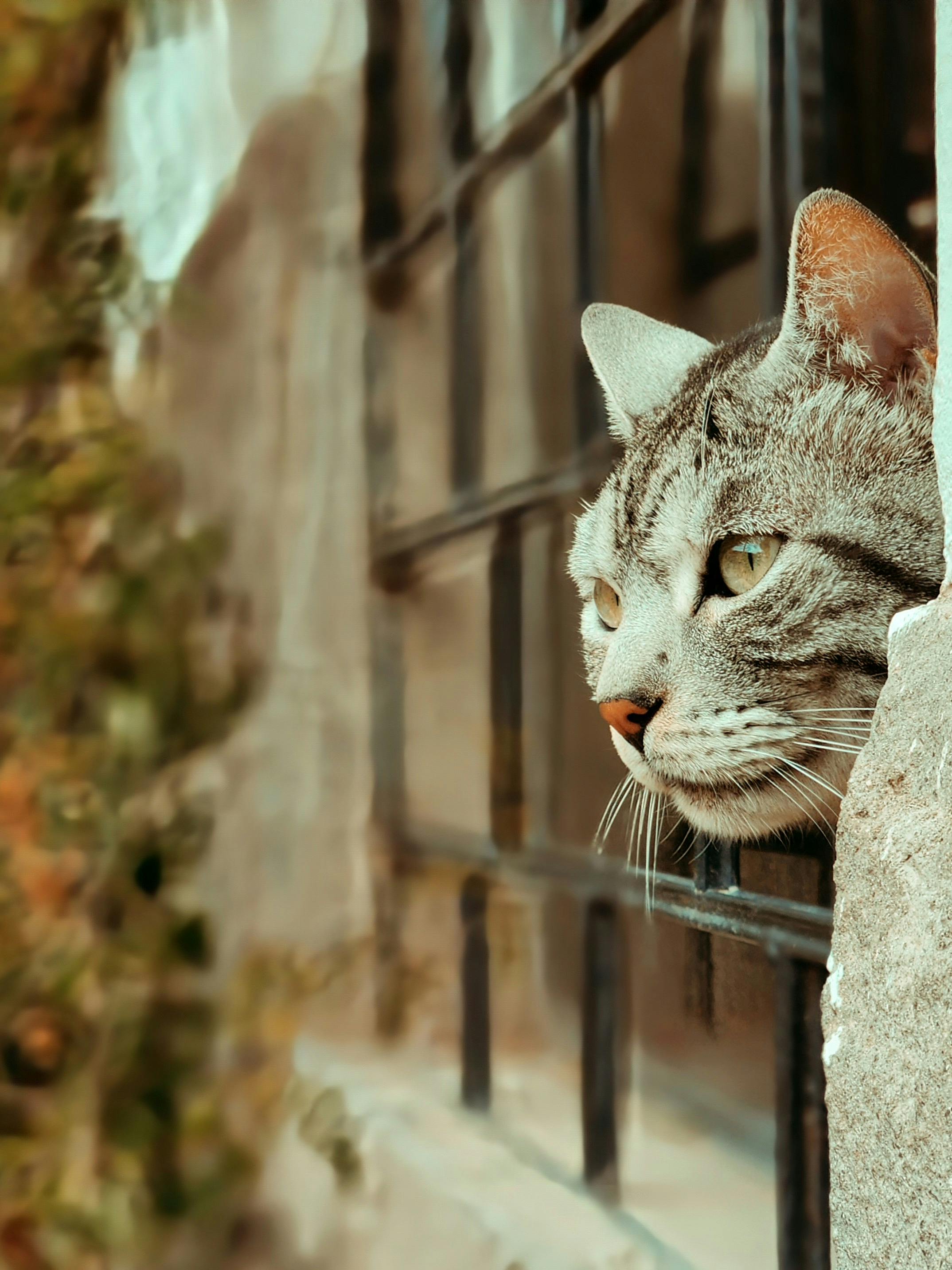 Running Out Photos, Download The BEST Free Running Out Stock Photos ...