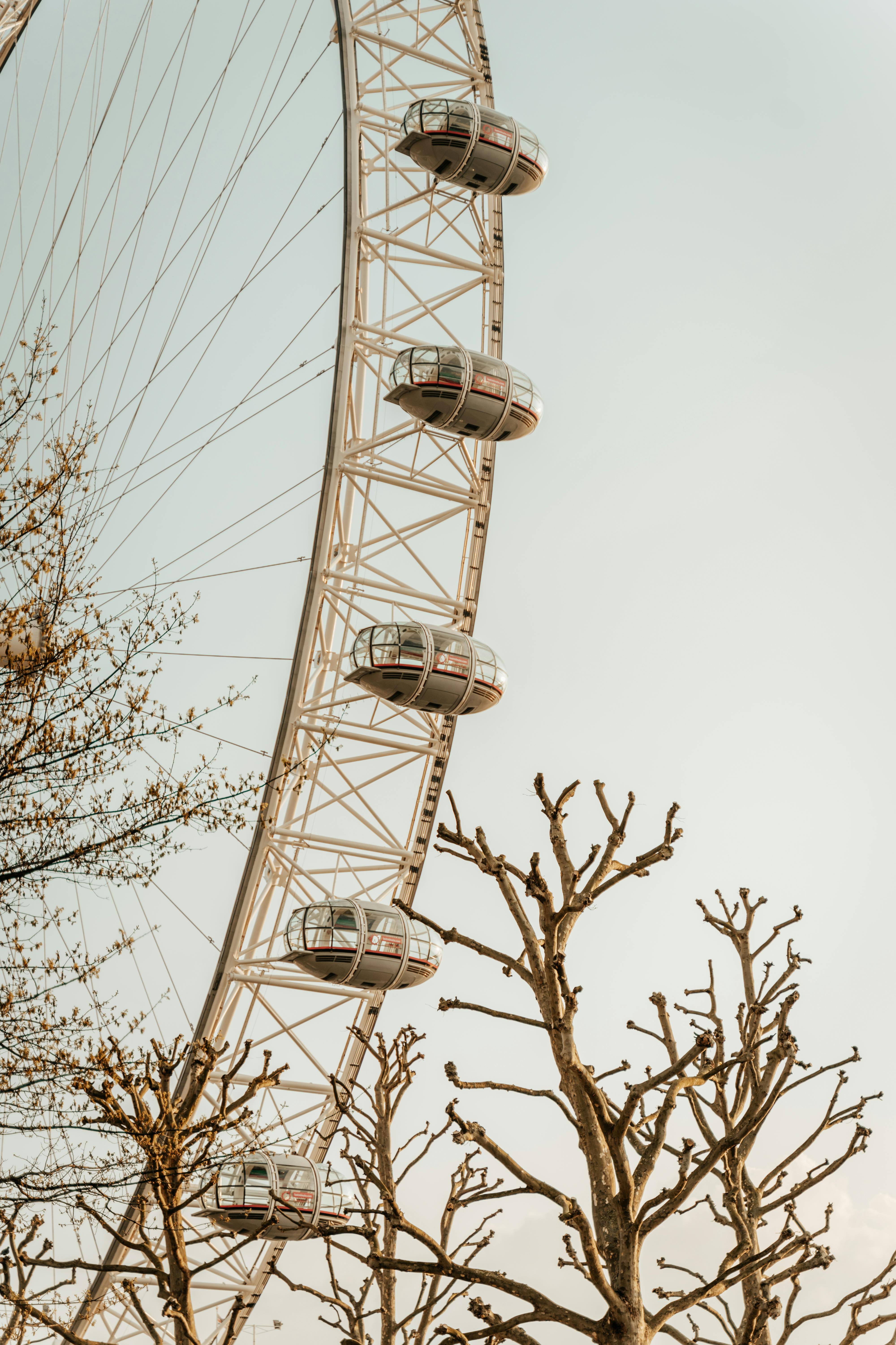 Ferris Wheel behind Trees · Free Stock Photo