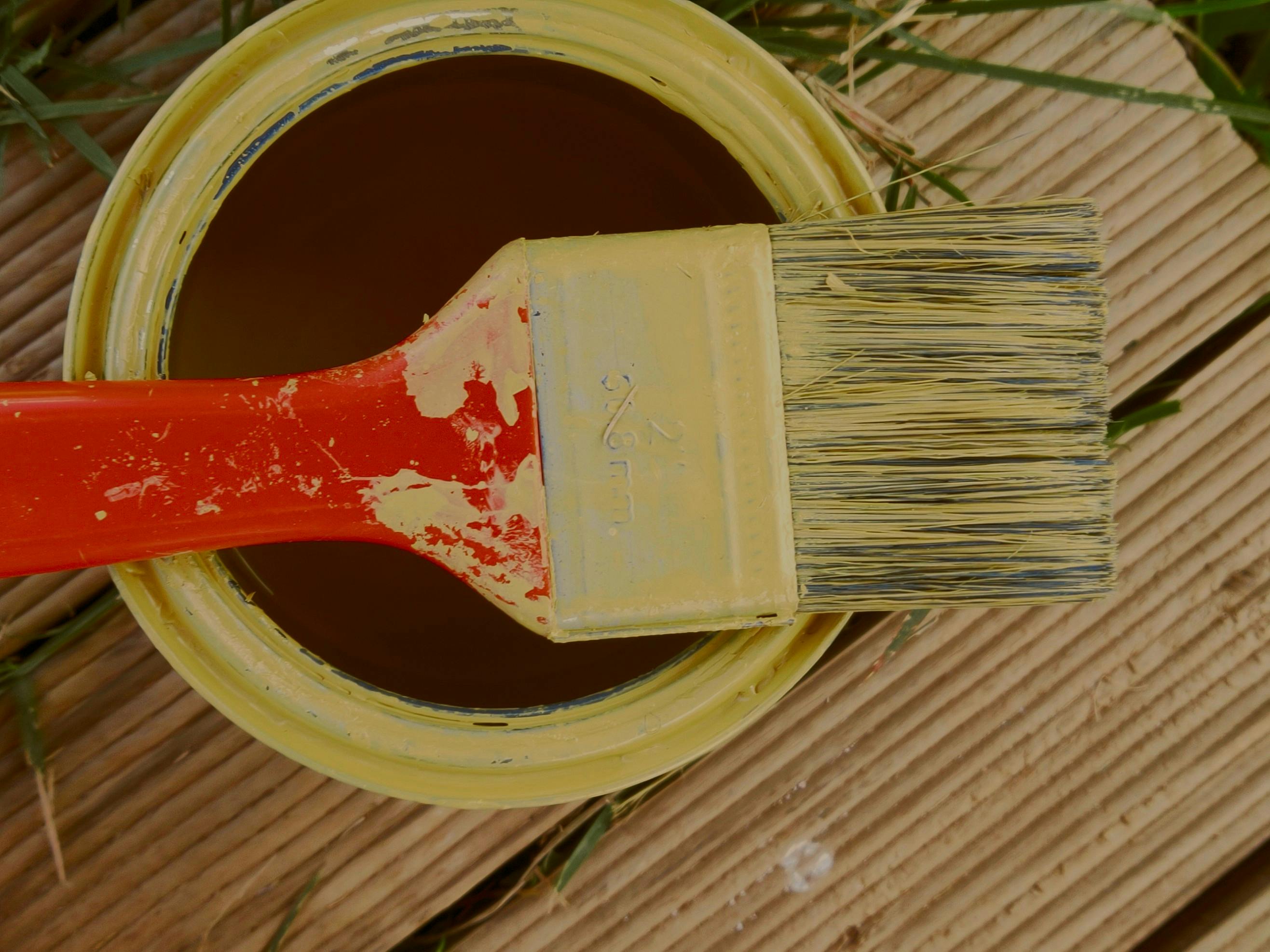 Daniel Bertoli - Fotografía