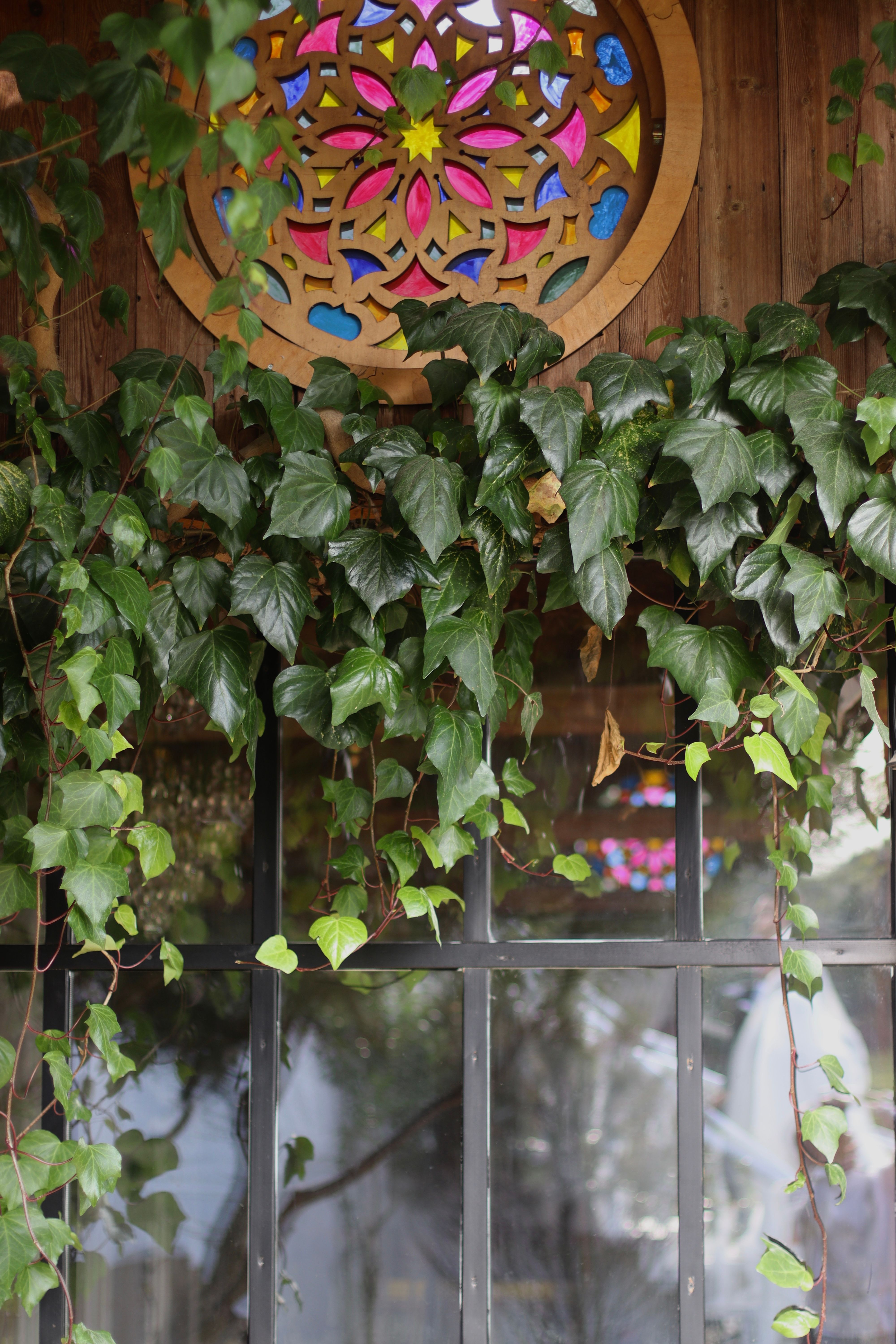 Leaves under Decorated, Wooden Window · Free Stock Photo