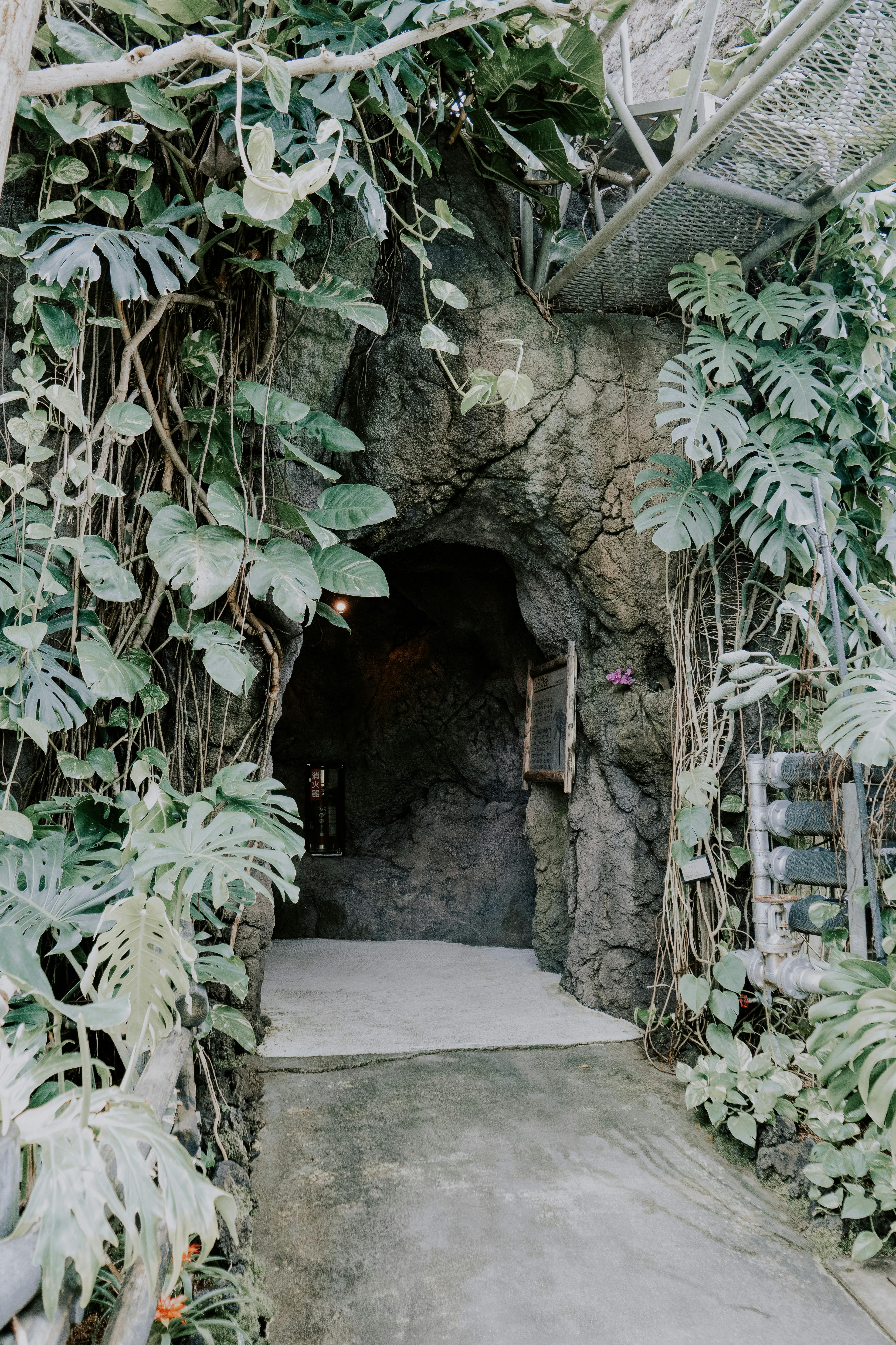 Fallen Cave Photos, Download The BEST Free Fallen Cave Stock Photos ...