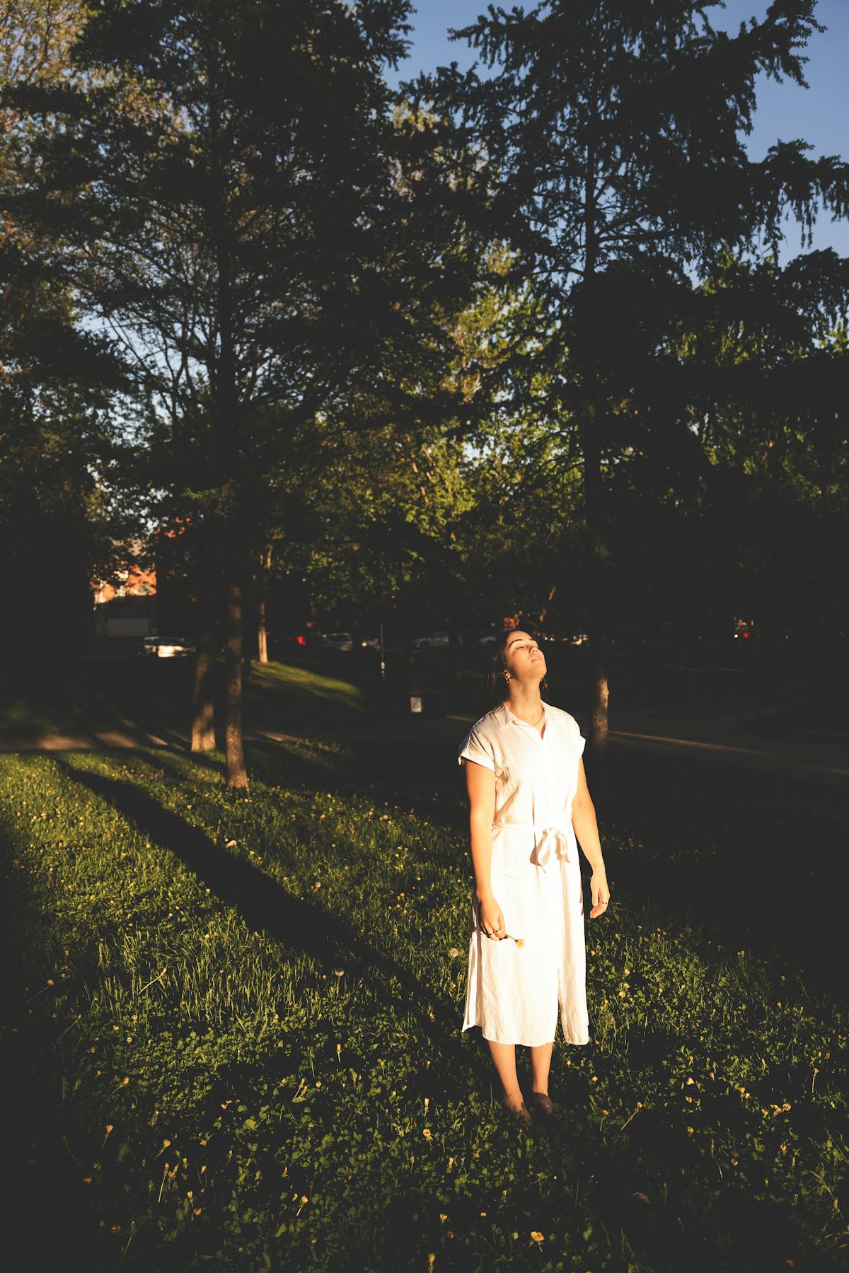 Sunlight Shadow Photos, Download The BEST Free Sunlight Shadow Stock ...