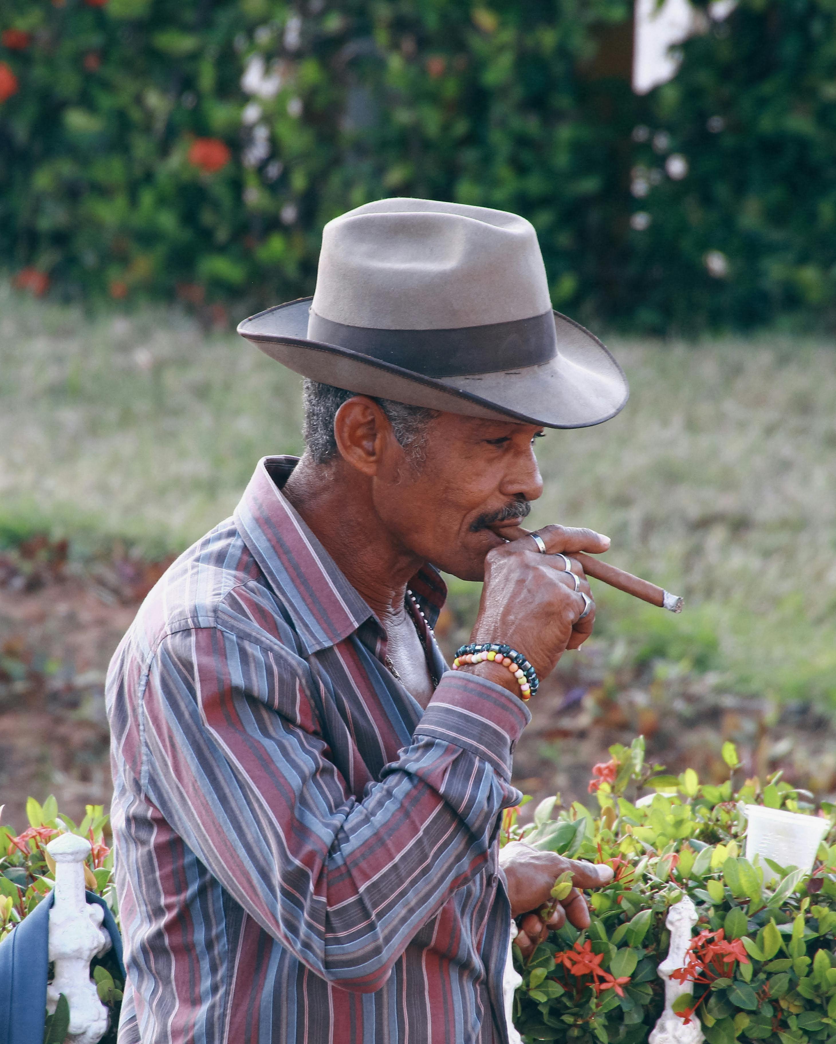 Packet Lm Cigar Photos, Download The BEST Free Packet Lm Cigar Stock ...