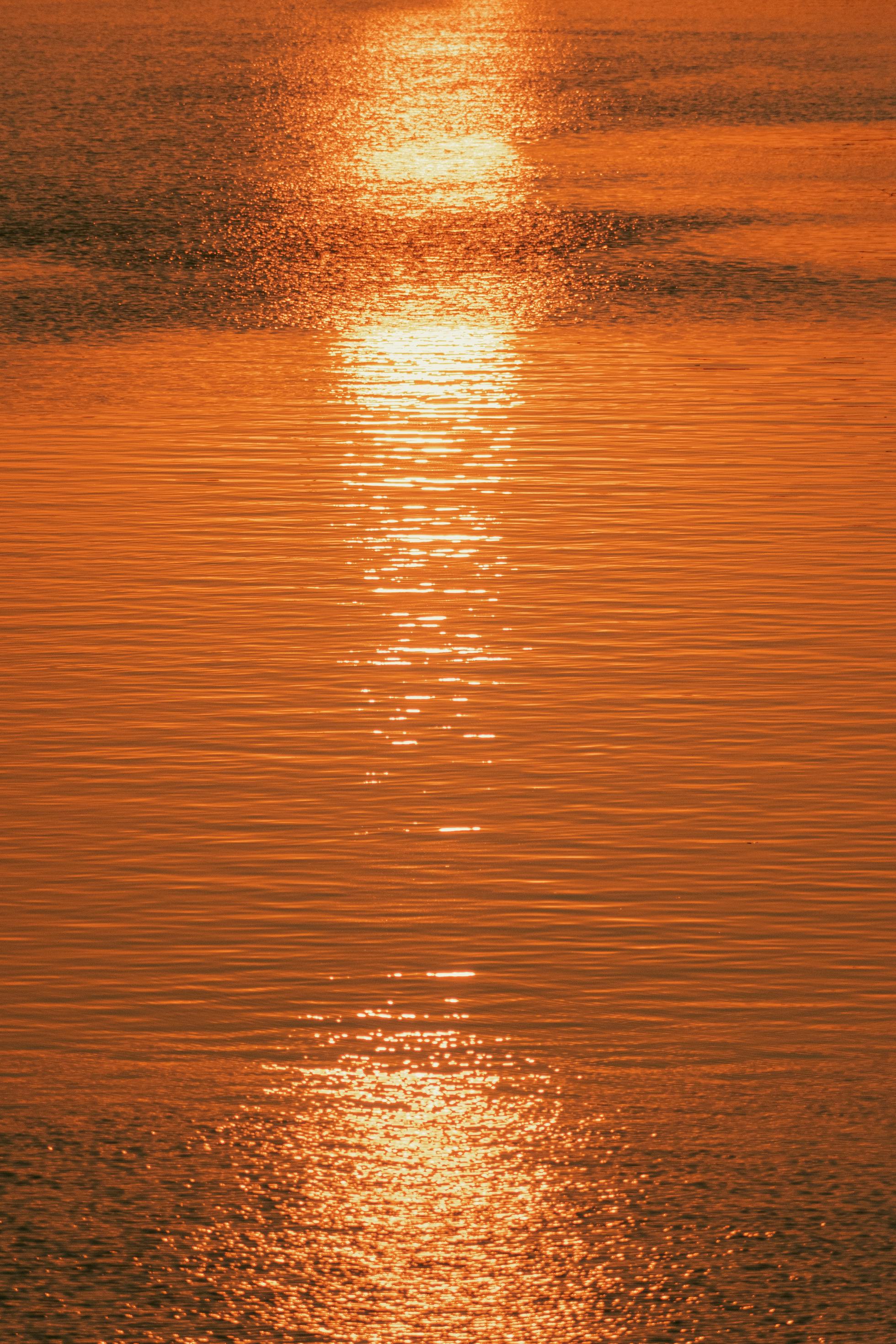 Free stock photo of color, hand, hands, sun, sunset