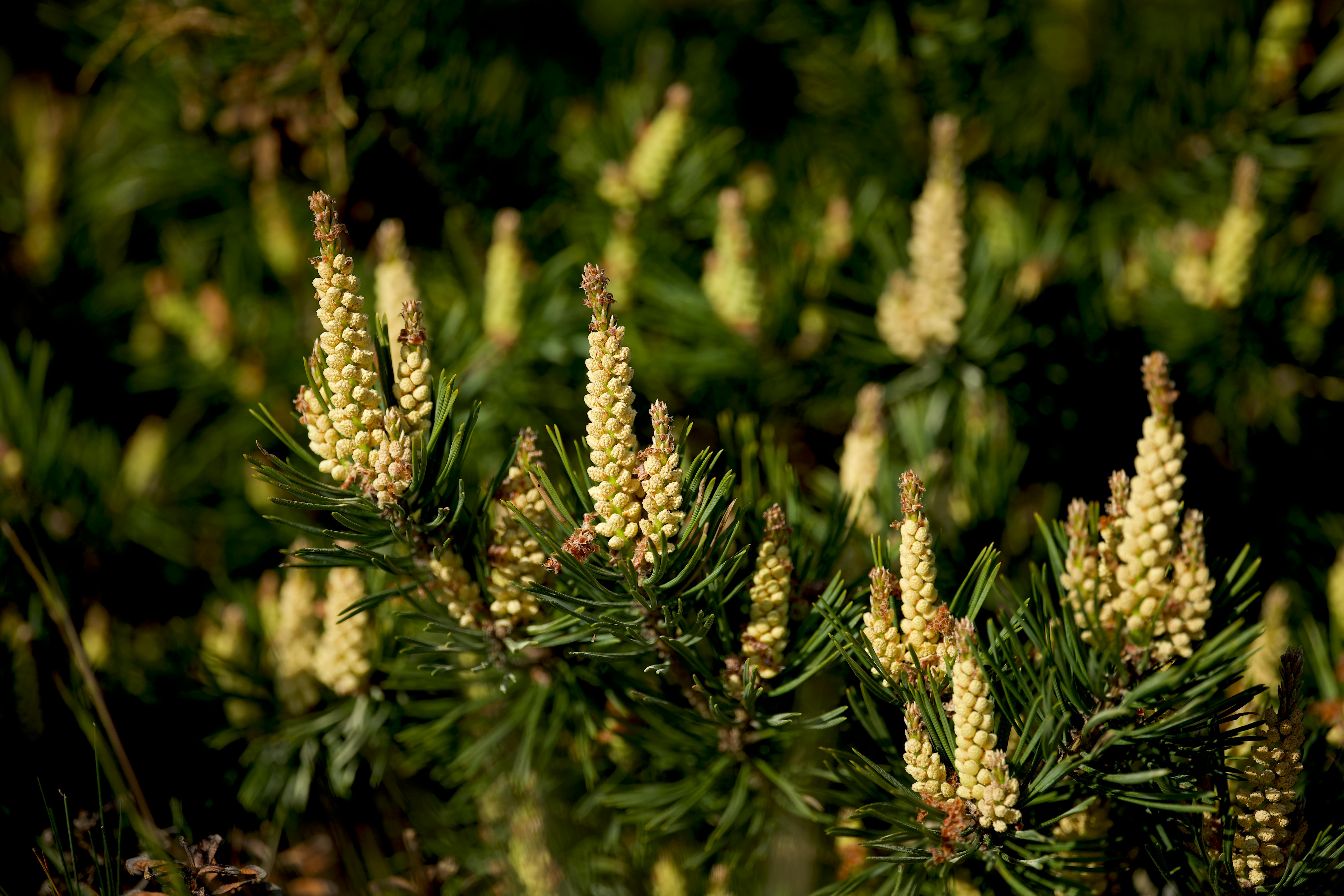 Vignett Photos, Download The BEST Free Vignett Stock Photos & HD Images