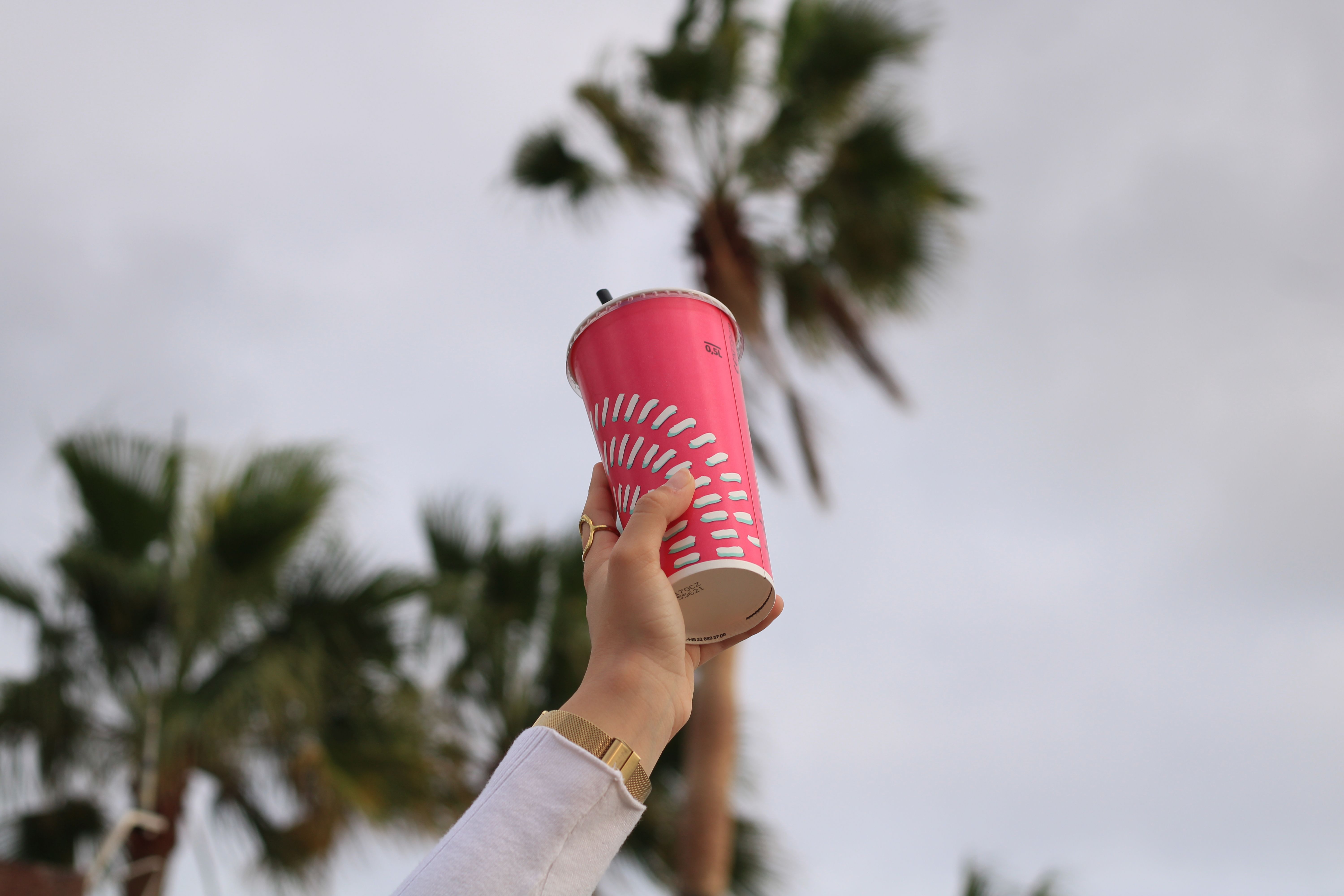 Woman Holding a Pink Cup Among Palm Trees · Free Stock Photo