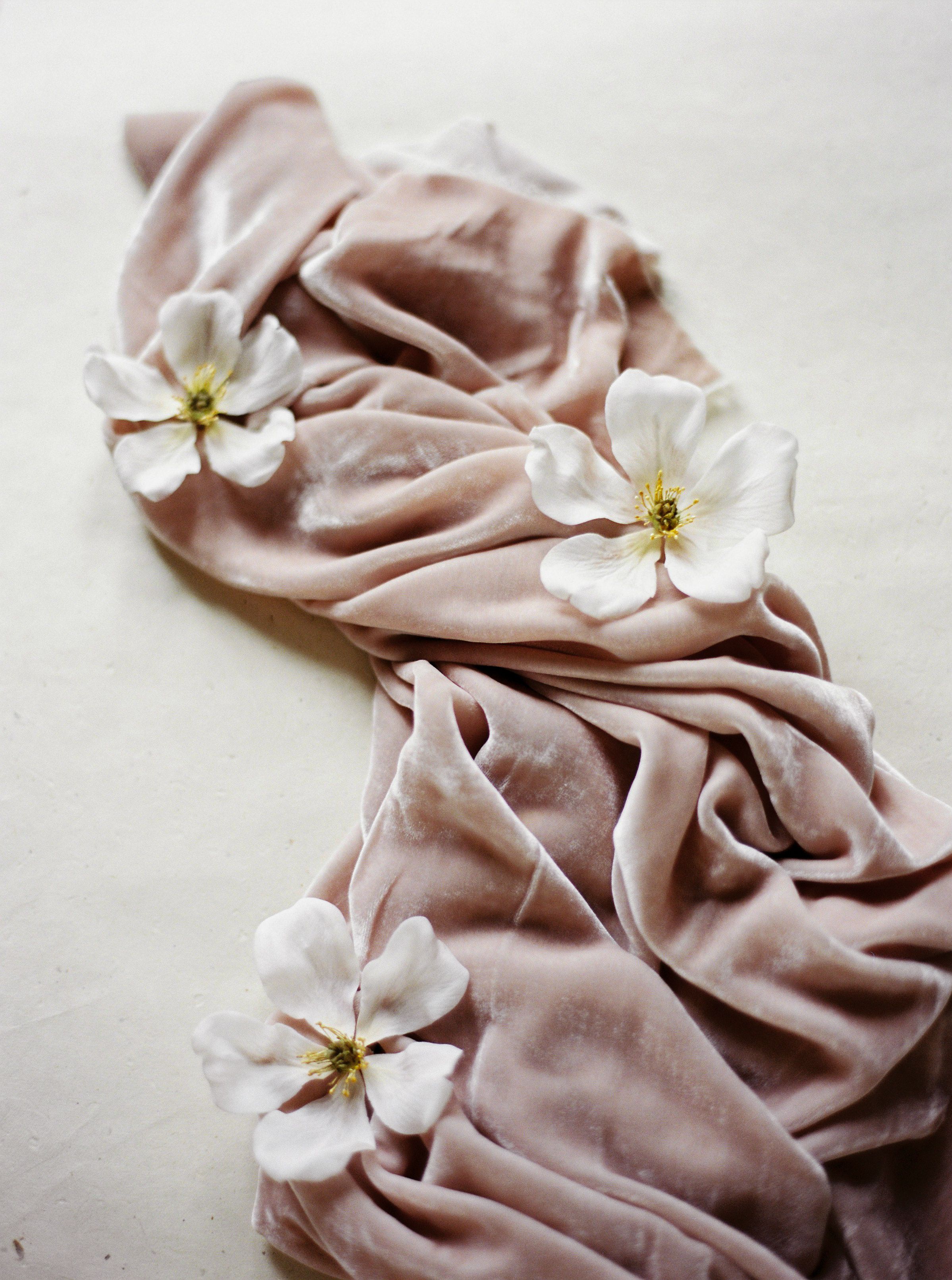 Velvet Flower Photos, Download The BEST Free Velvet Flower Stock Photos ...