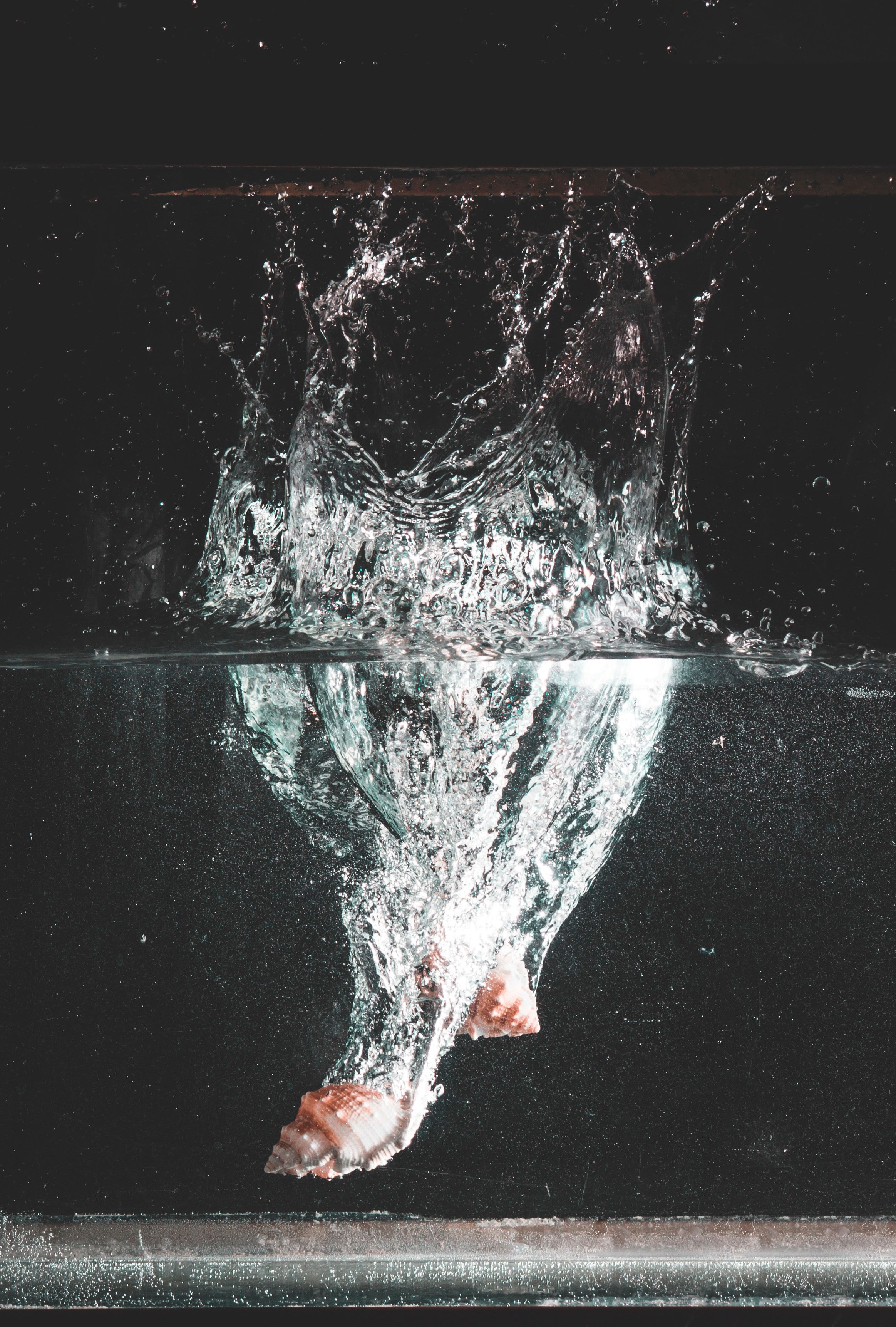 Splash of Water · Free Stock Photo