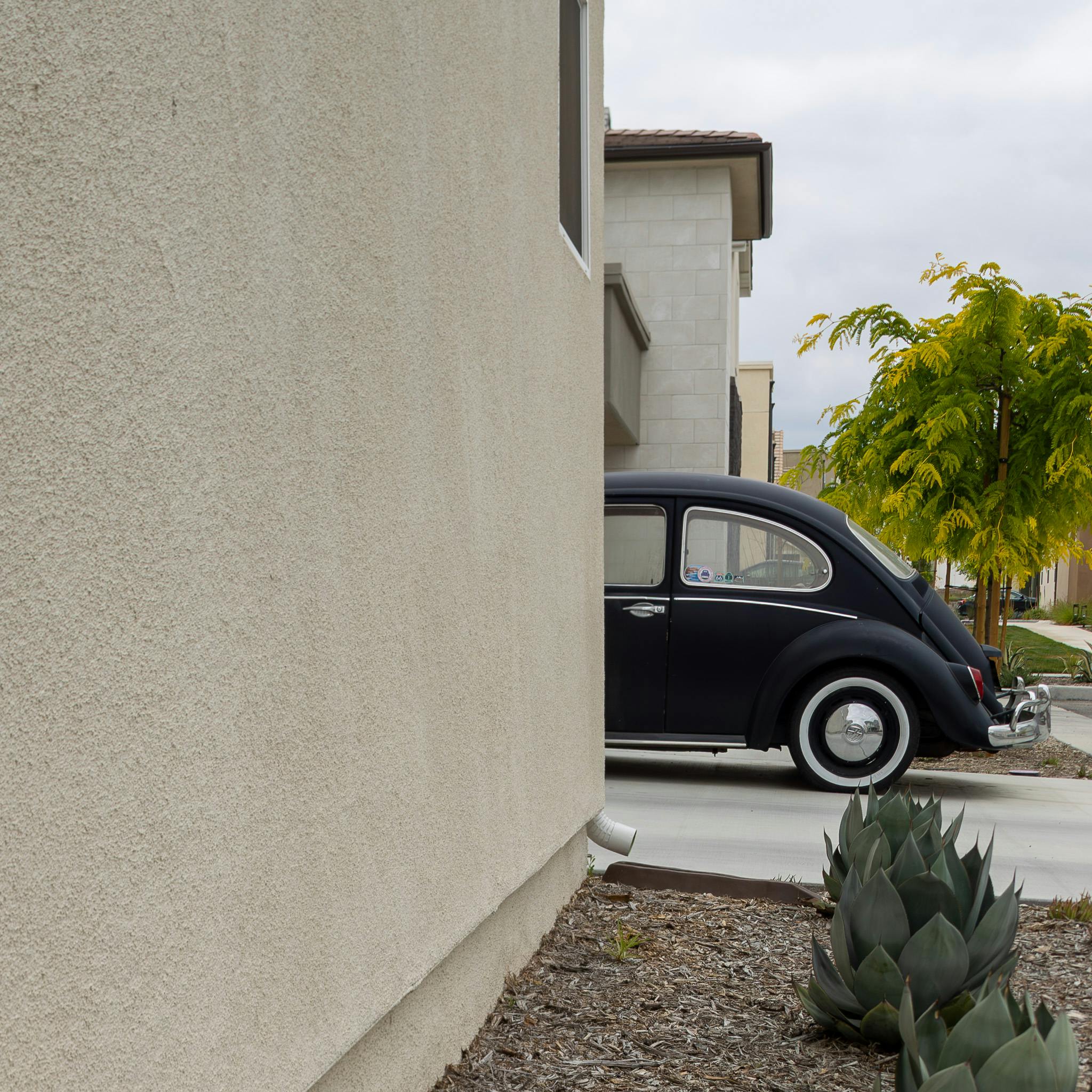 Mango Car Photos, Download The BEST Free Mango Car Stock Photos & HD Images