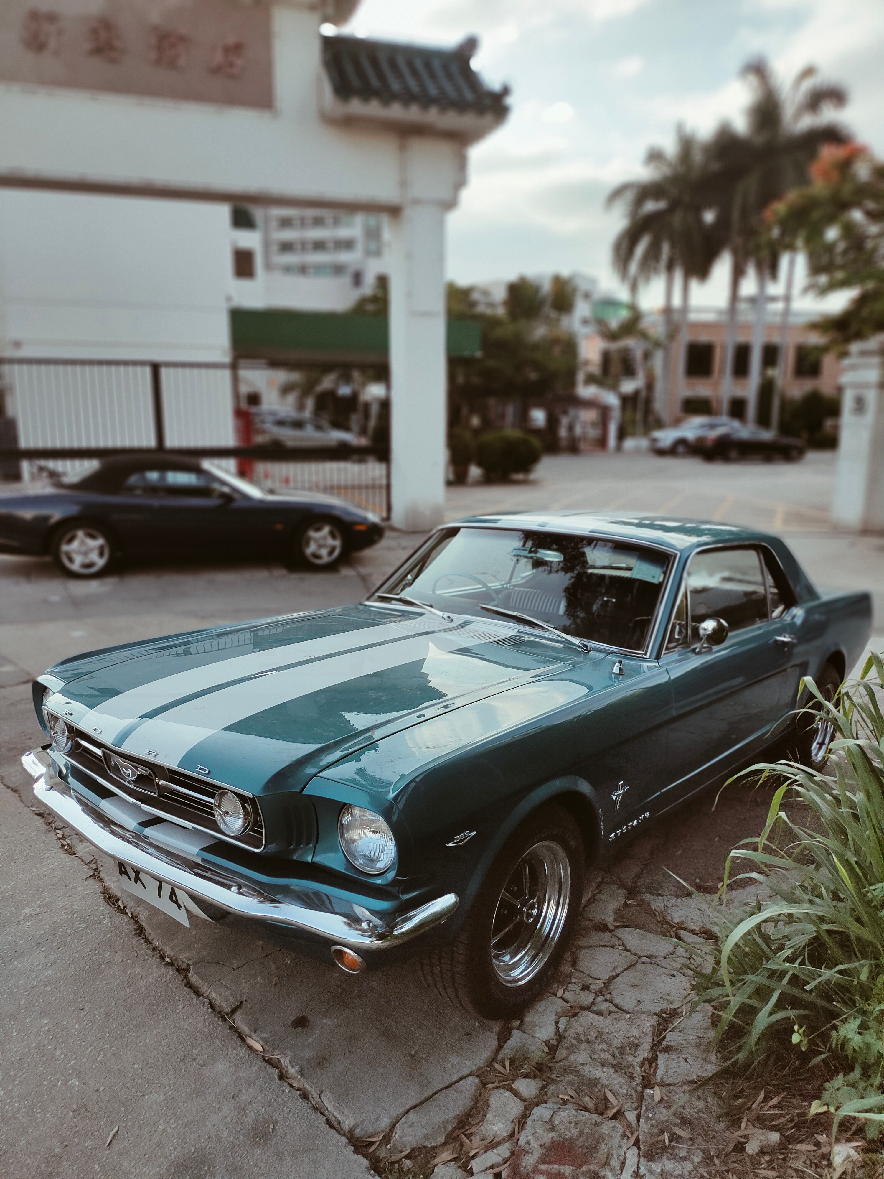 First Generation of Form Mustang · Free Stock Photo