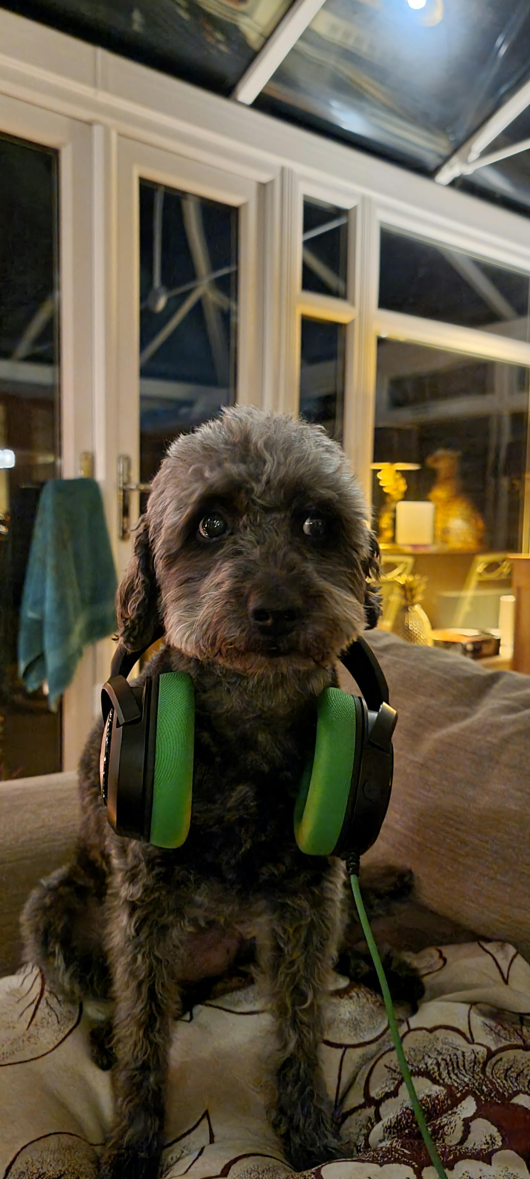 Flynn Robinson - Fotografía