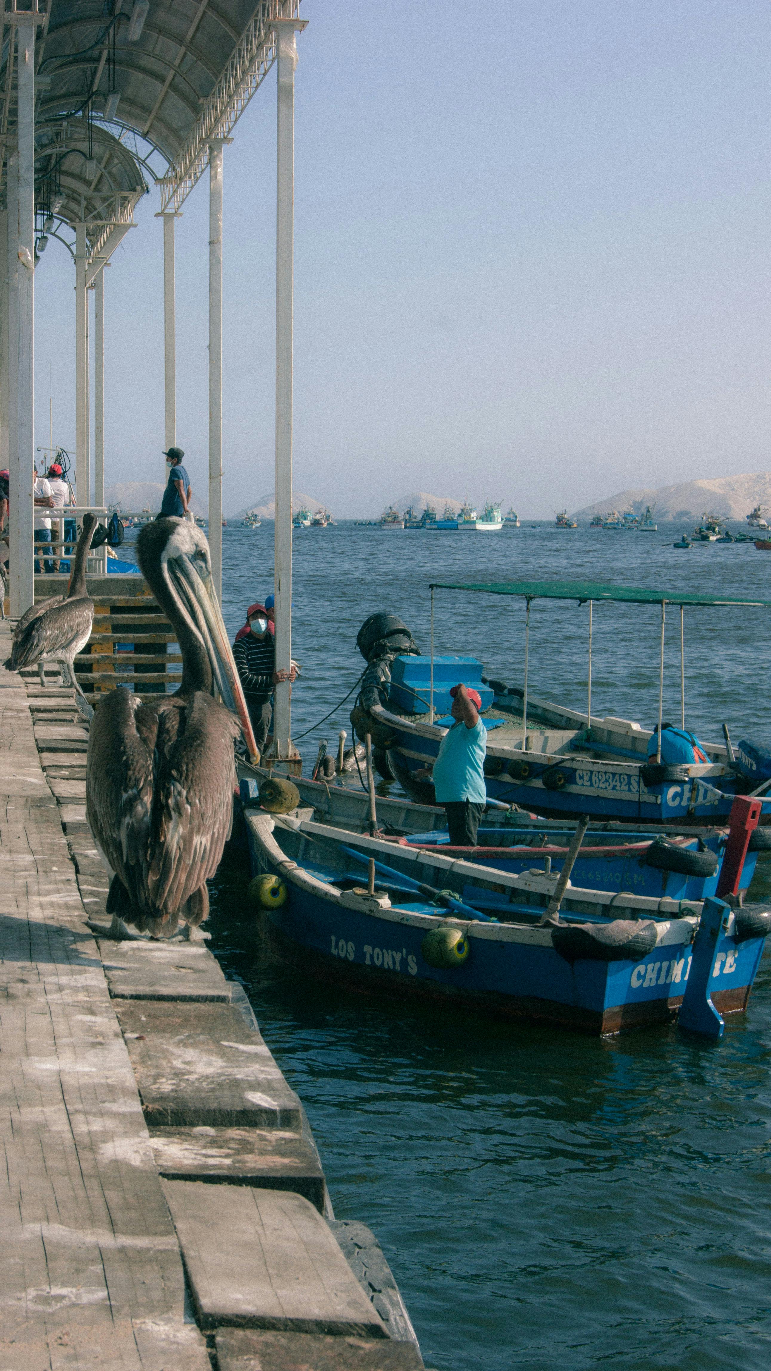 Tolo Harbour Photos, Download The BEST Free Tolo Harbour Stock Photos ...