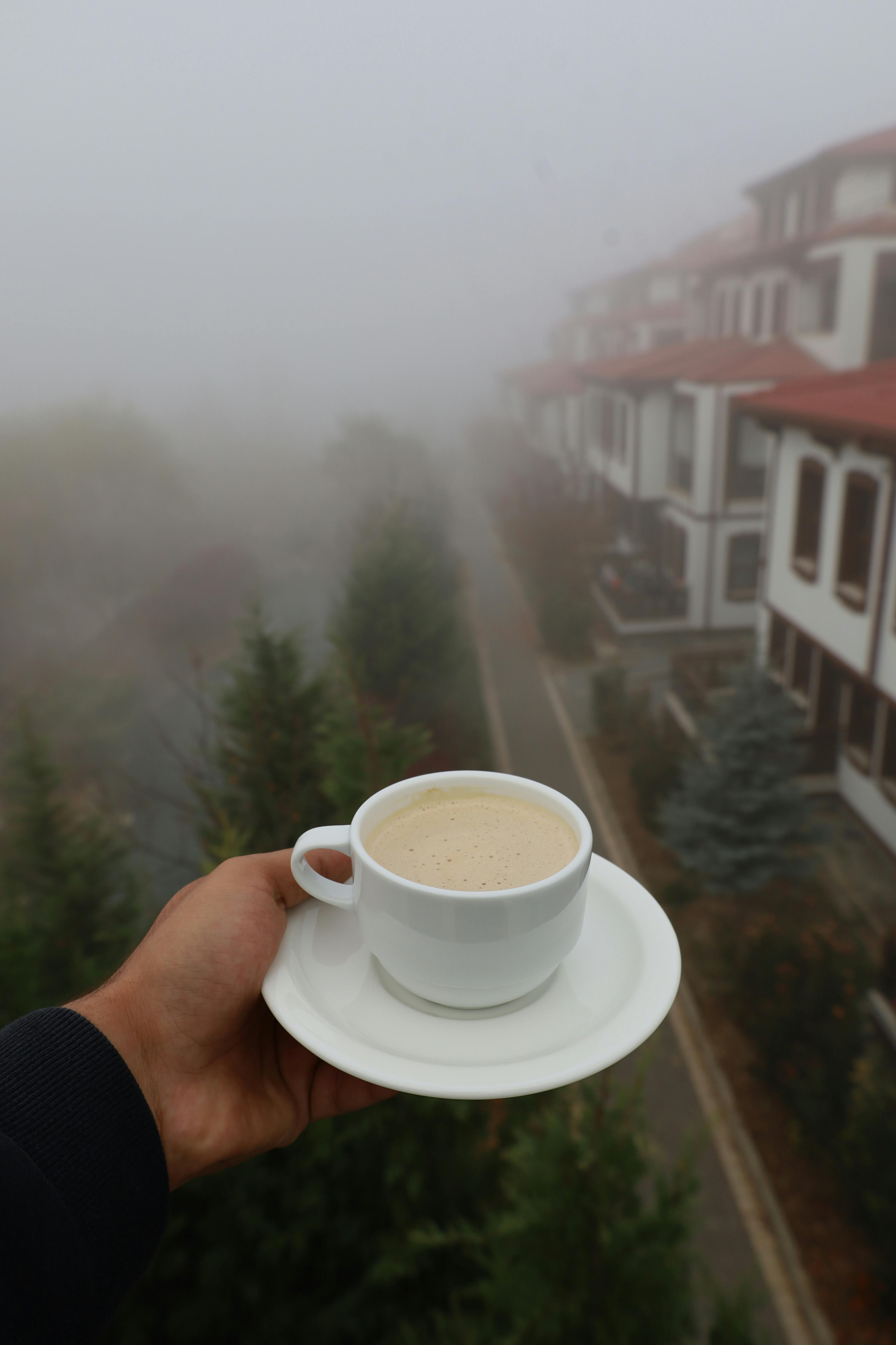 Coffee Cup Trees Photos, Download The BEST Free Coffee Cup Trees Stock ...