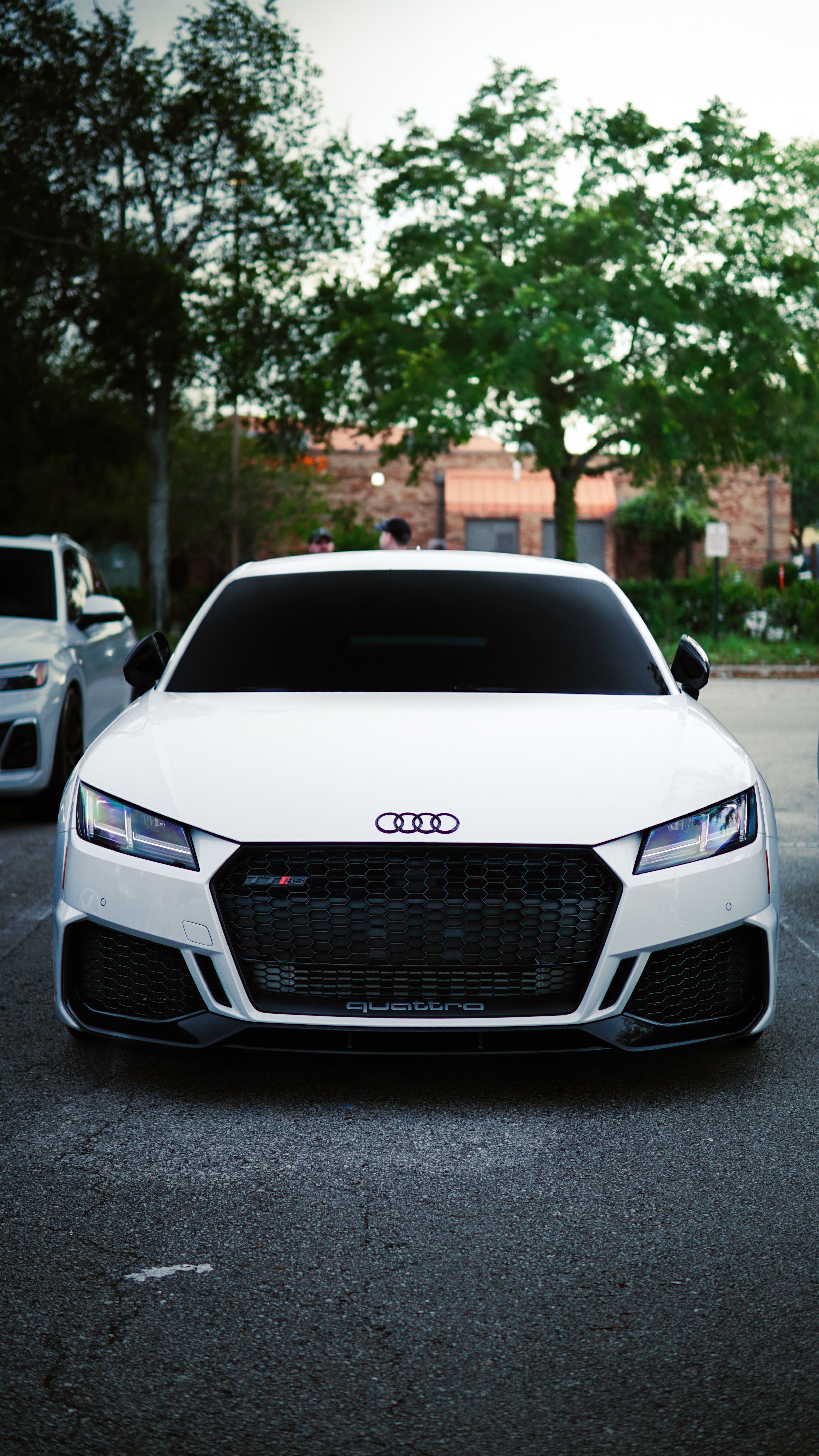 Weiße Audi Autos Hintergrundbilder