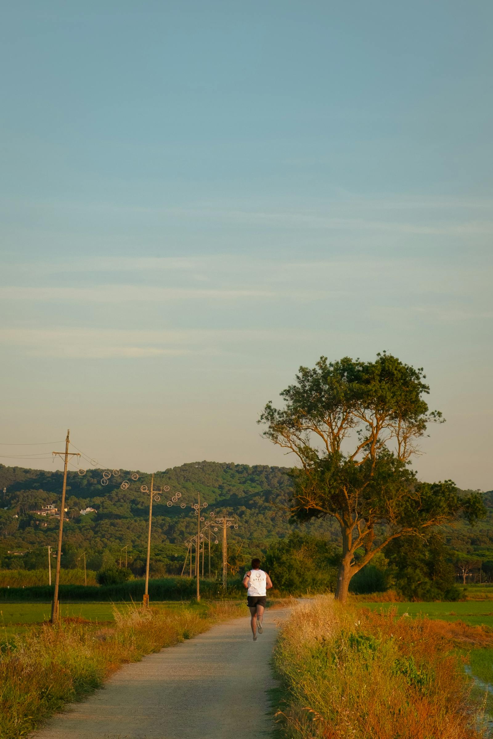 Nature Trail Running Photos, Download The BEST Free Nature Trail ...