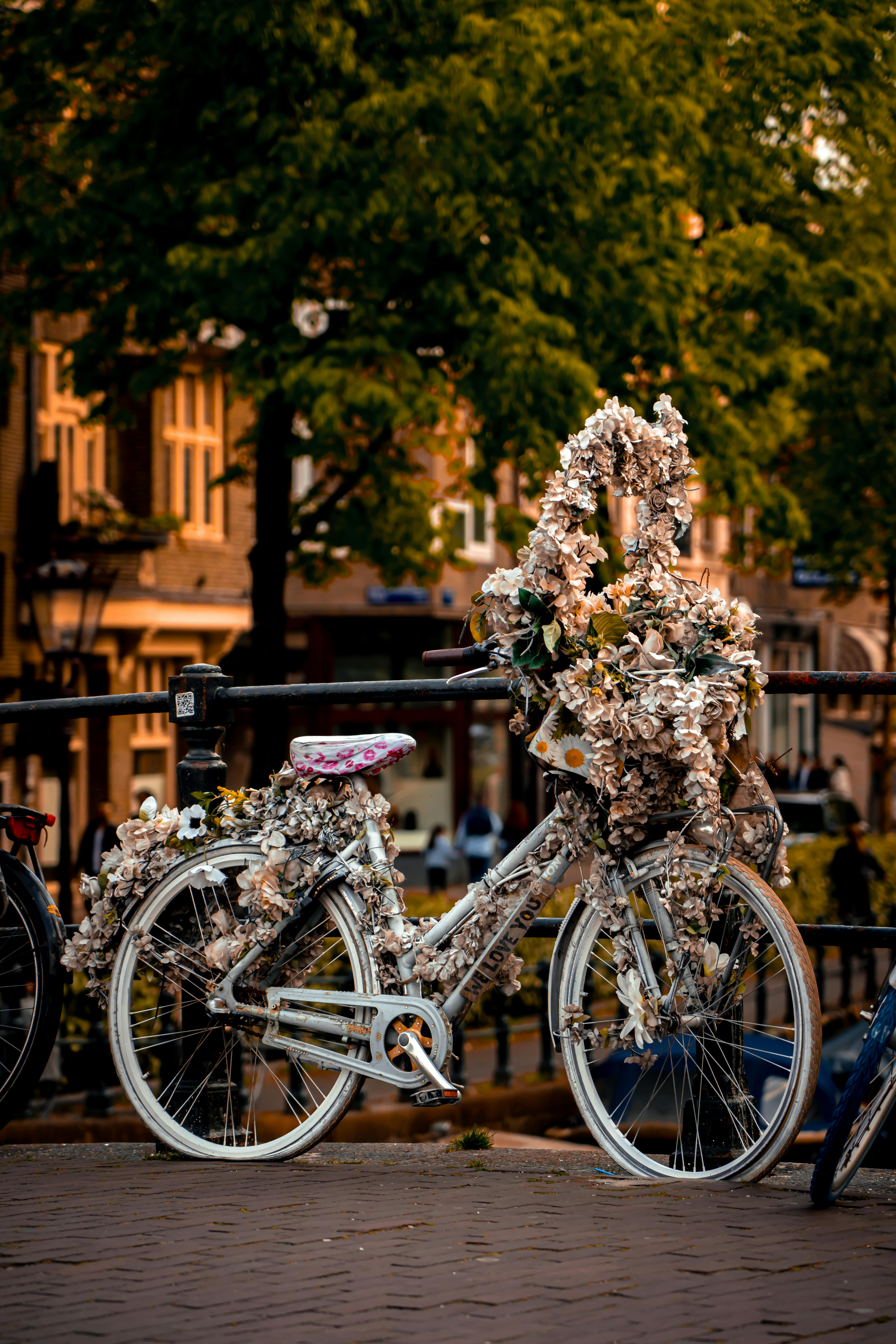 Dutch Picture Photos, Download The BEST Free Dutch Picture Stock Photos ...