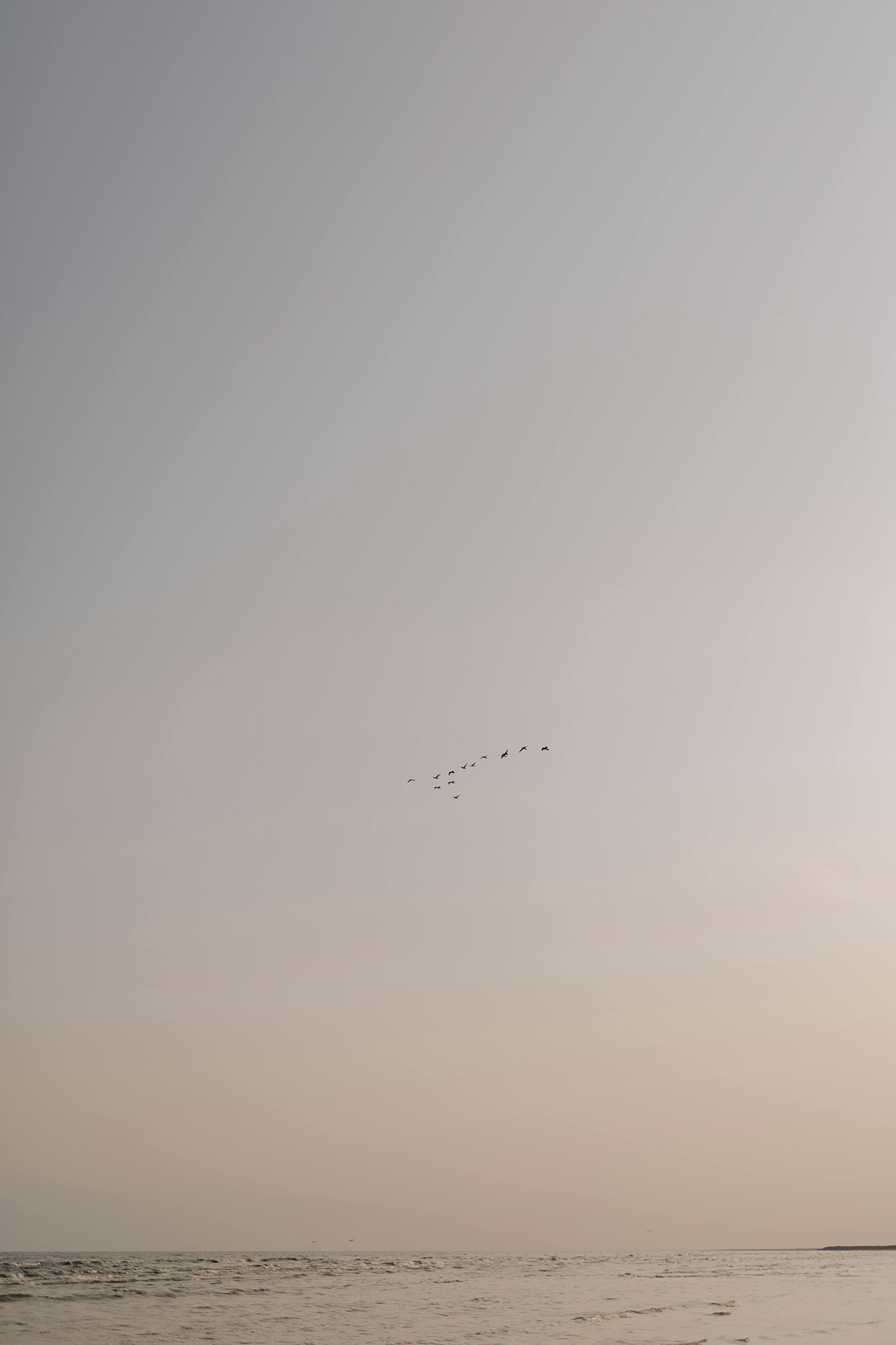 Nature In The Evening Photos, Download The BEST Free Nature In The ...