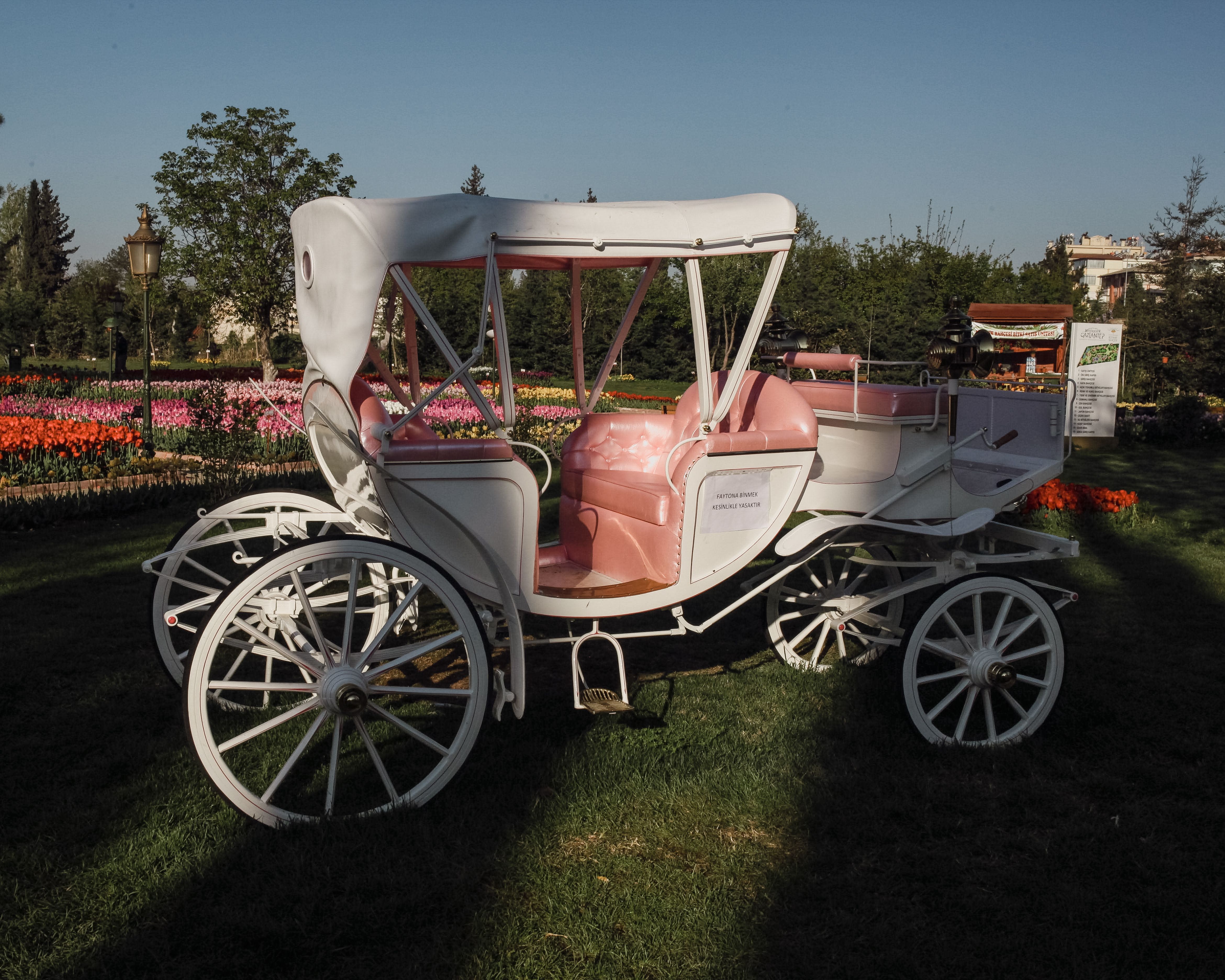 White Wedding Horse Carriage · Free Stock Photo