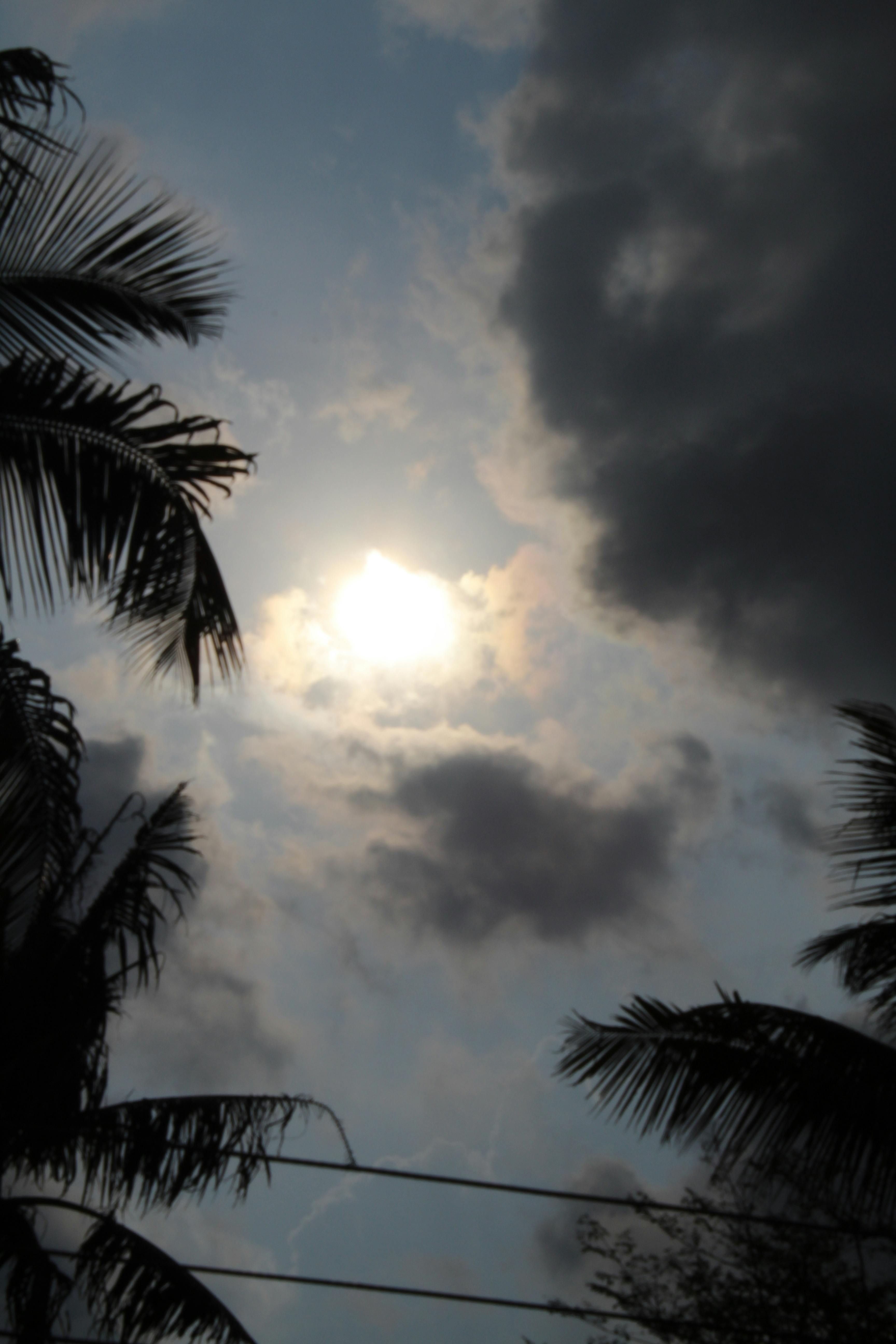 David Vinson - 写真