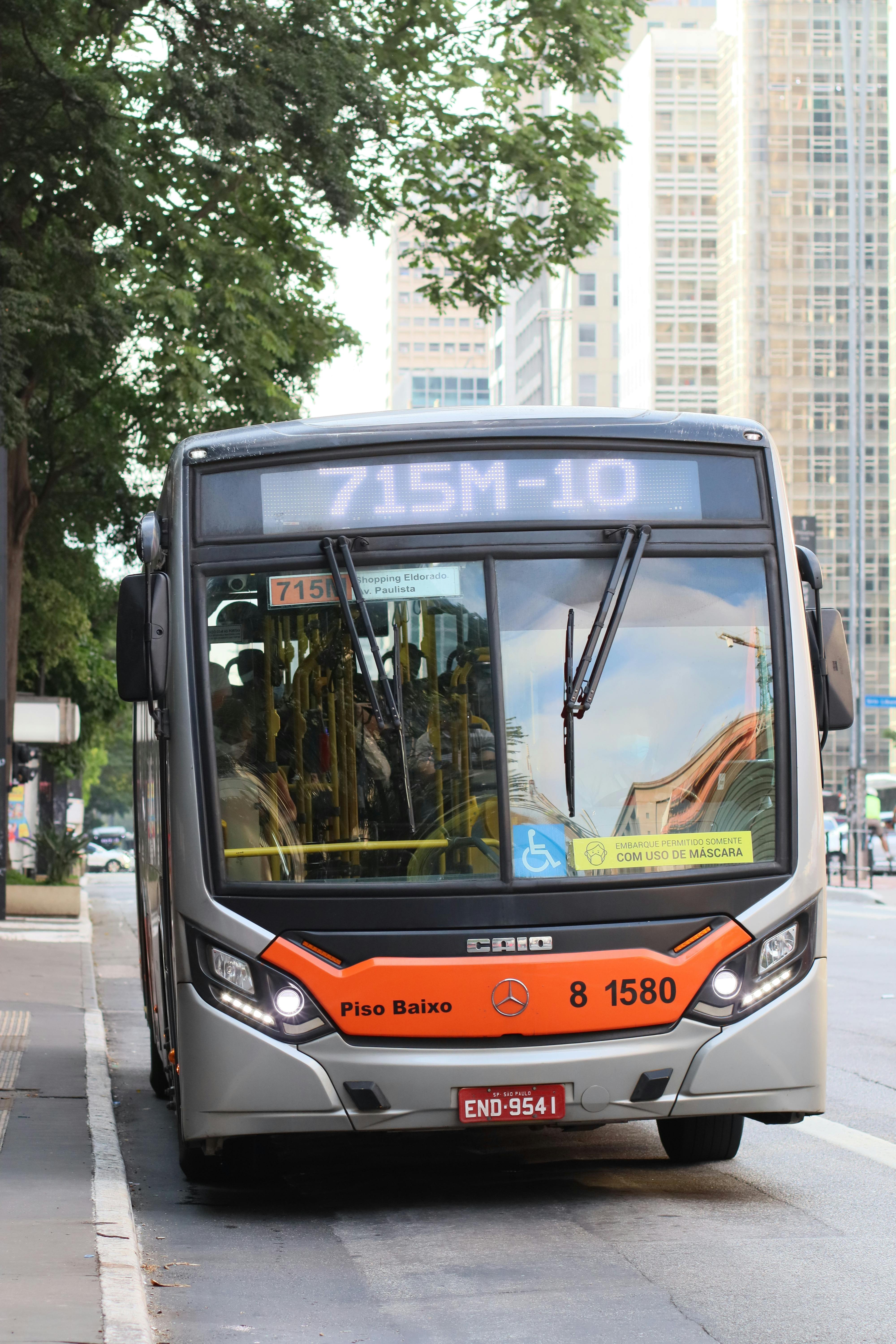 Bus on Street in City · Free Stock Photo
