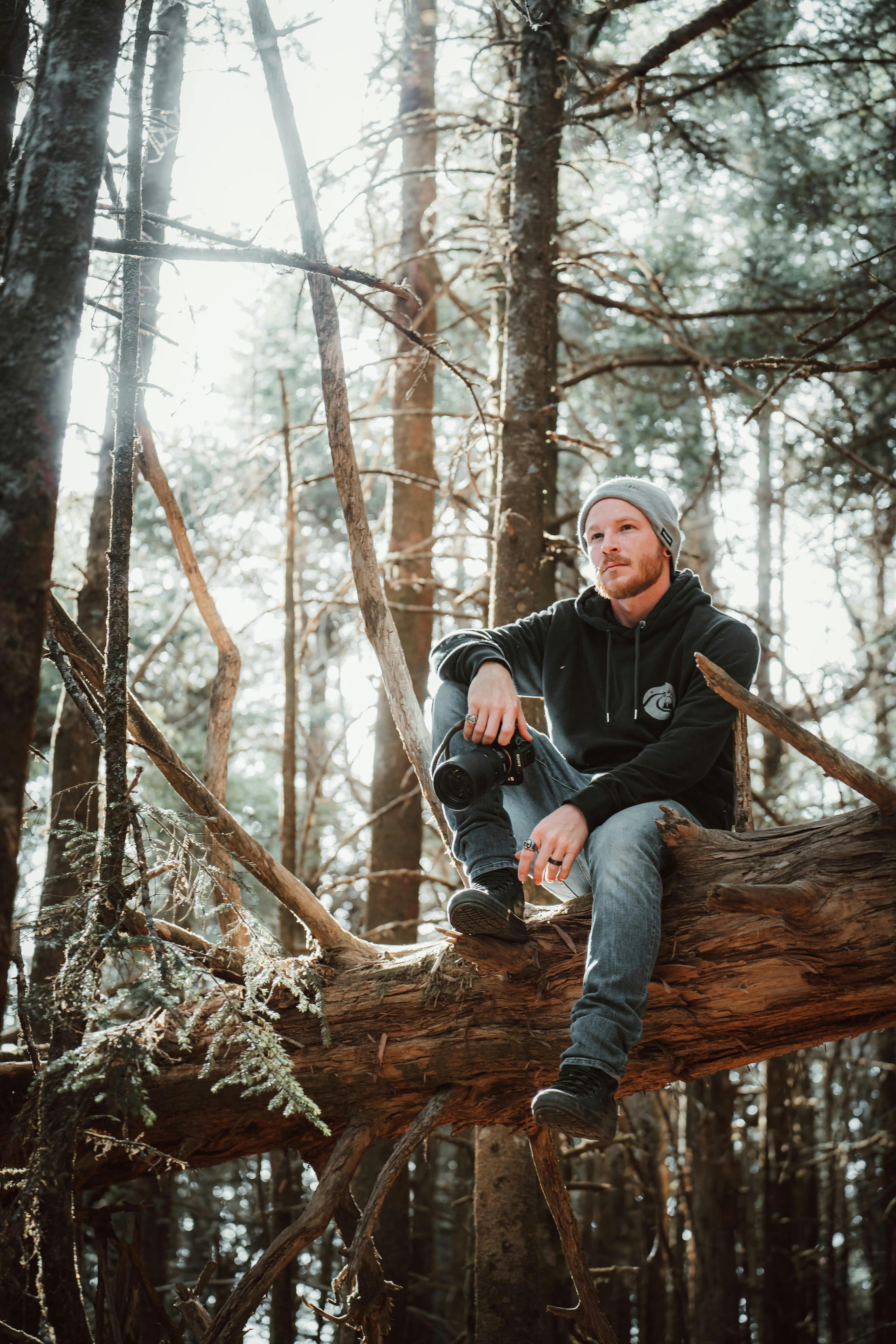 A man sitting on a tree in the woods · Free Stock Photo