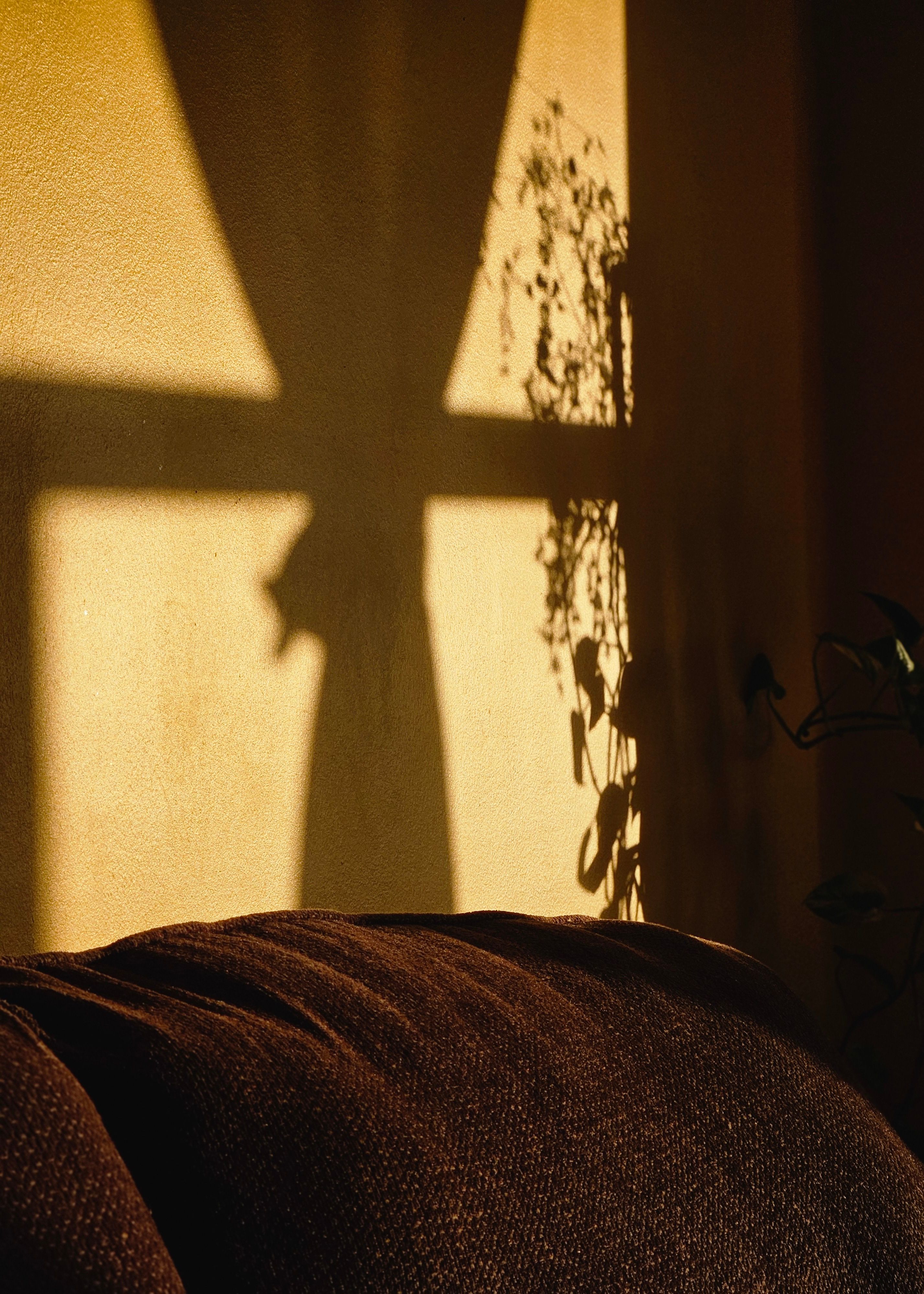 Curtain Shadow on Sunlit Wall · Free Stock Photo