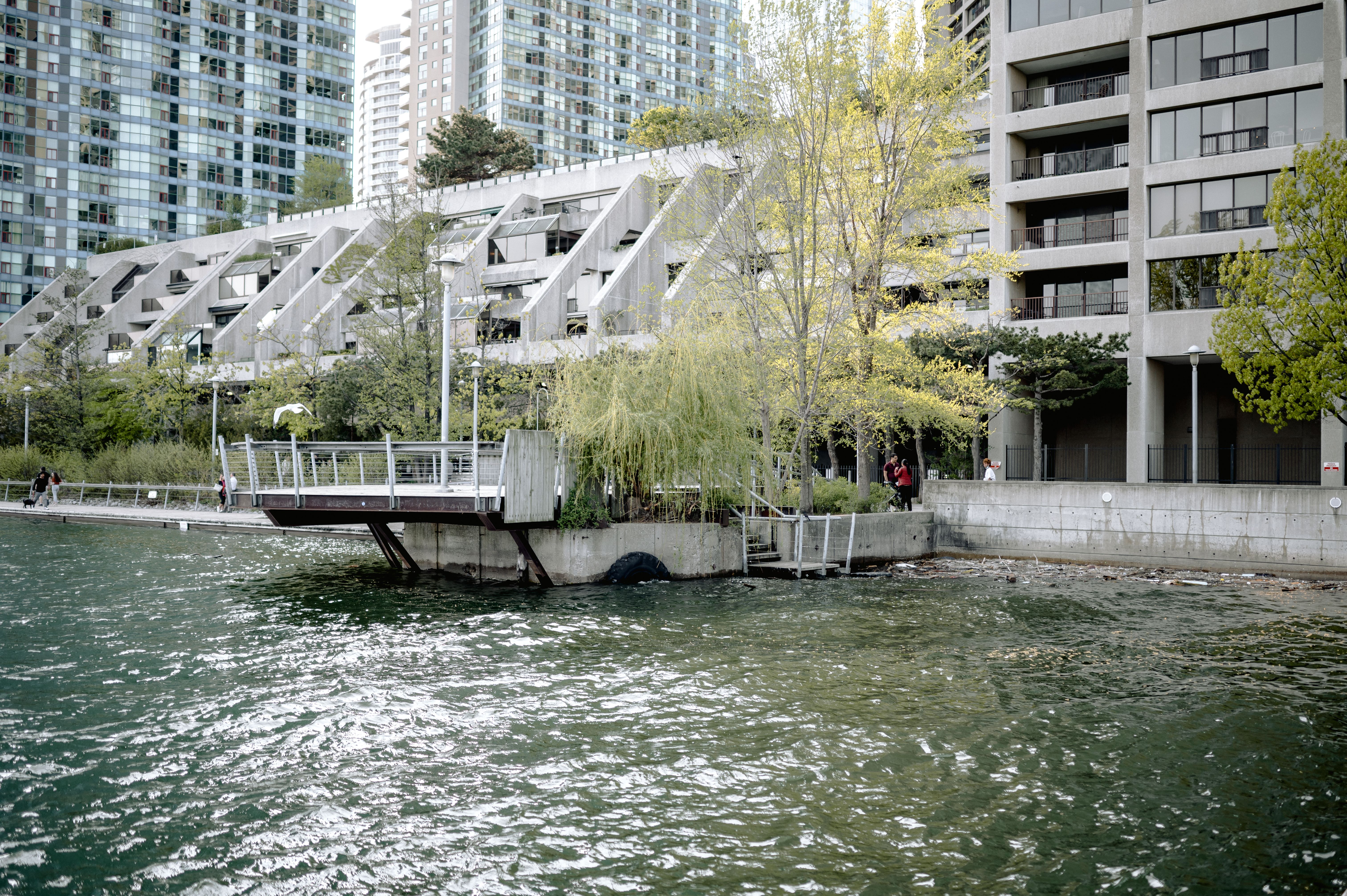 Modern Waterfront Condo Buildings in Downtown Toronto, Canada · Free ...