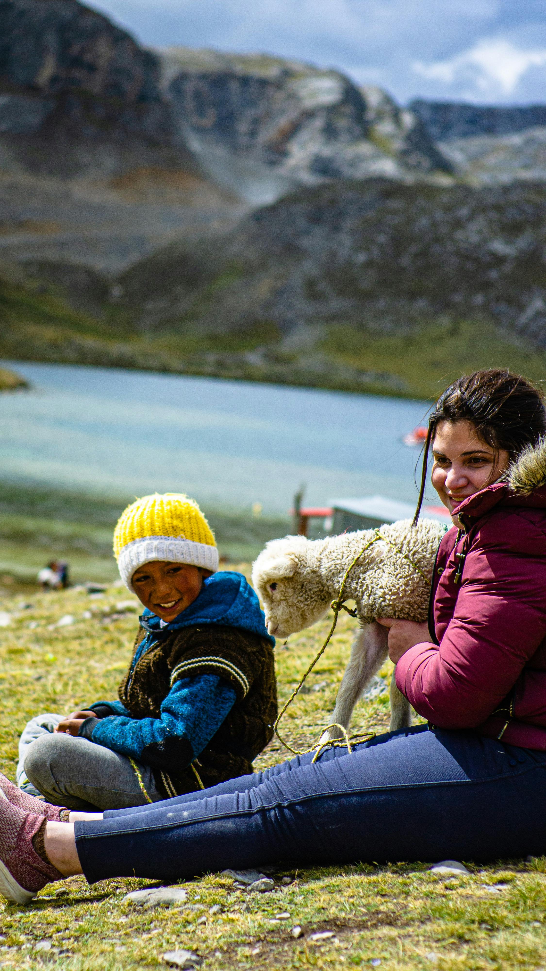 Happy Sheep Photos, Download The BEST Free Happy Sheep Stock Photos ...