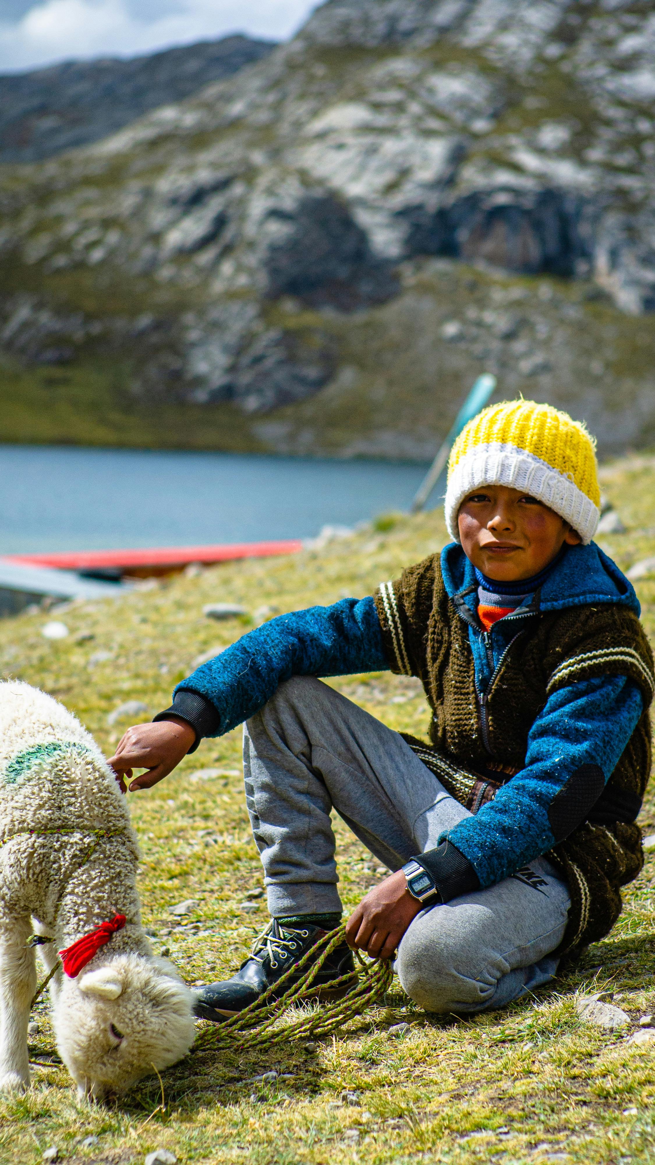 Kids With Sheep Photos, Download The BEST Free Kids With Sheep Stock ...