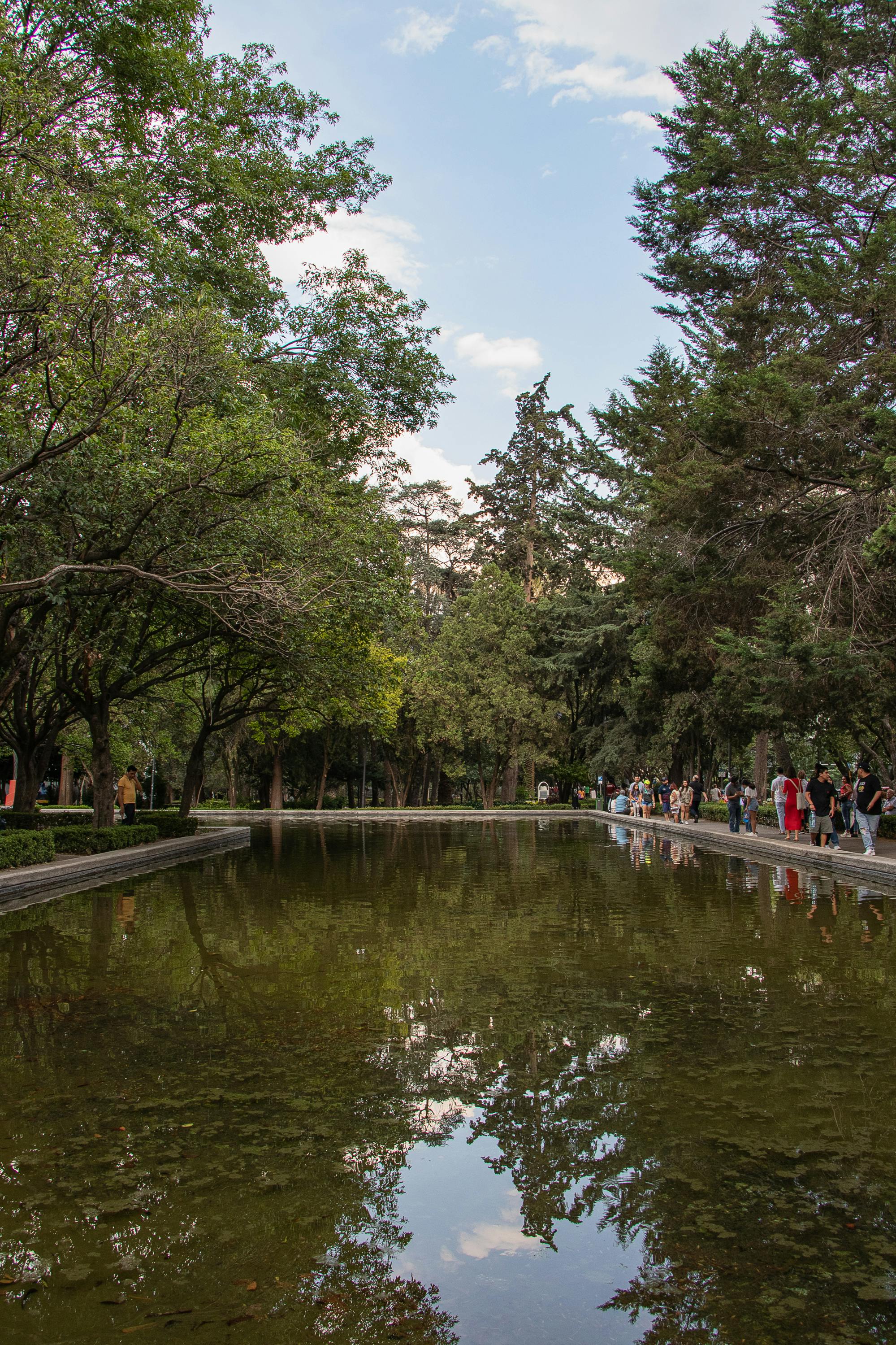 People Walking on the Park · Free Stock Photo