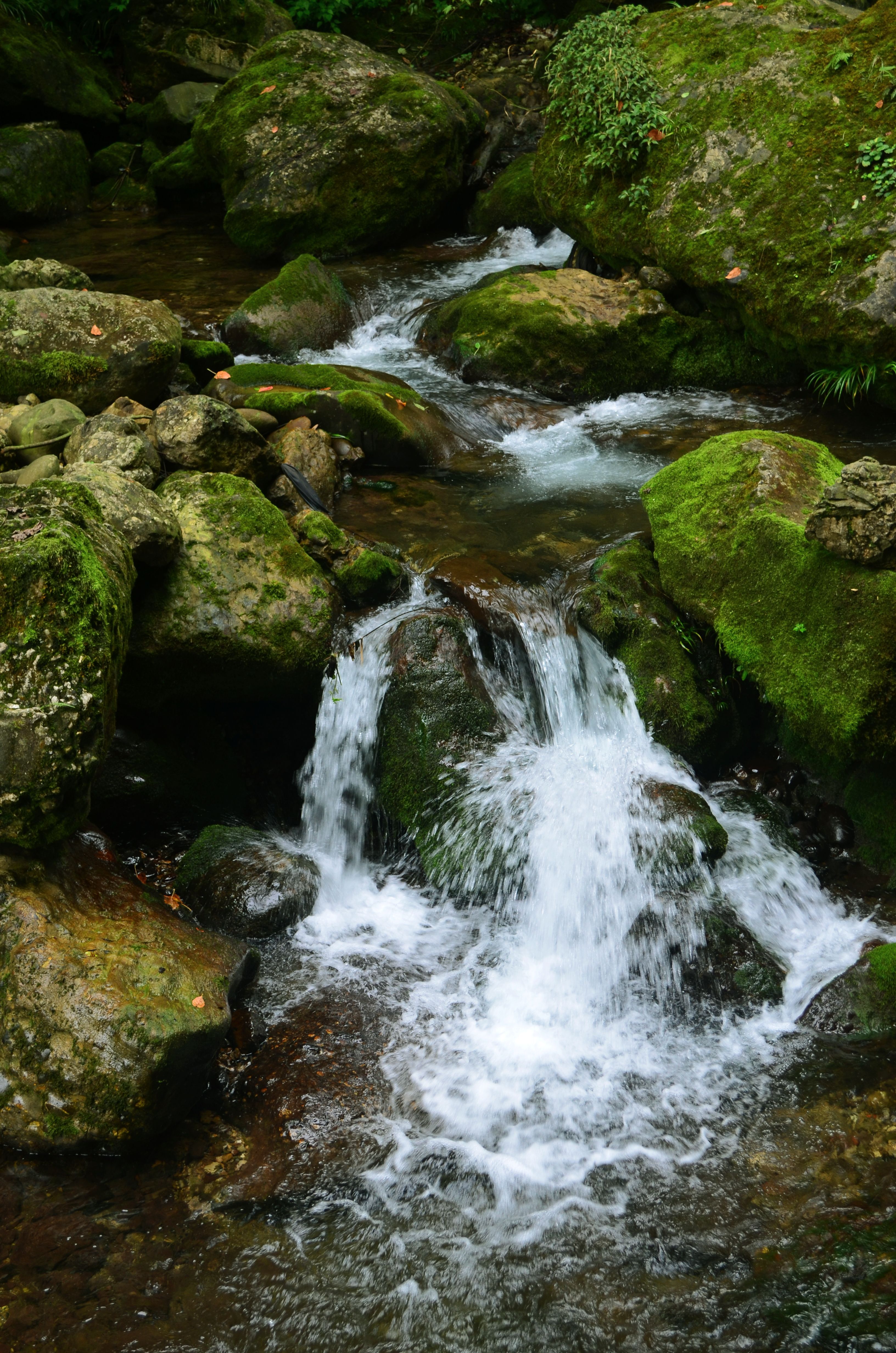 Water Flowing Over the Rocks · Free Stock Photo