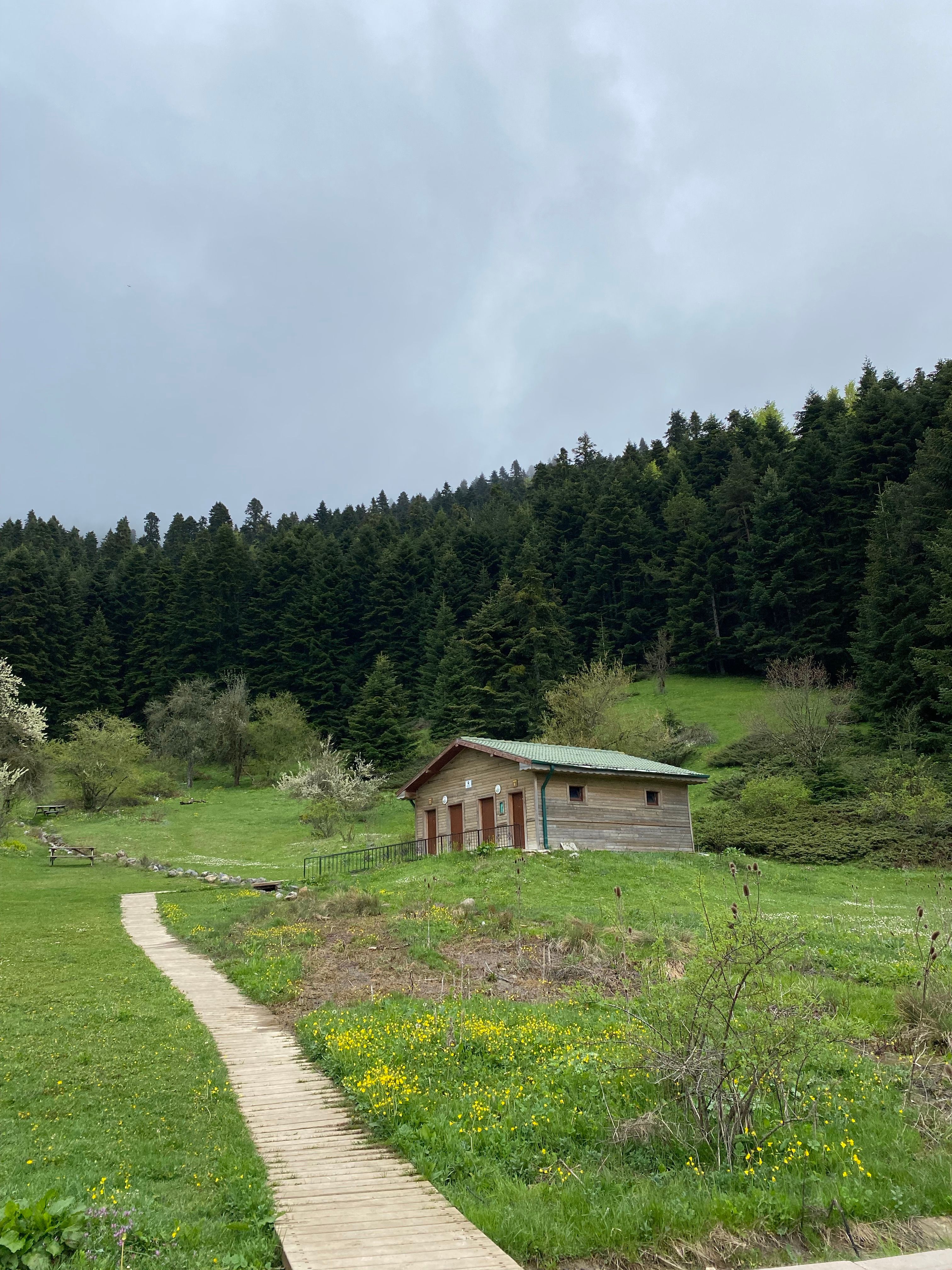 House near Forest · Free Stock Photo