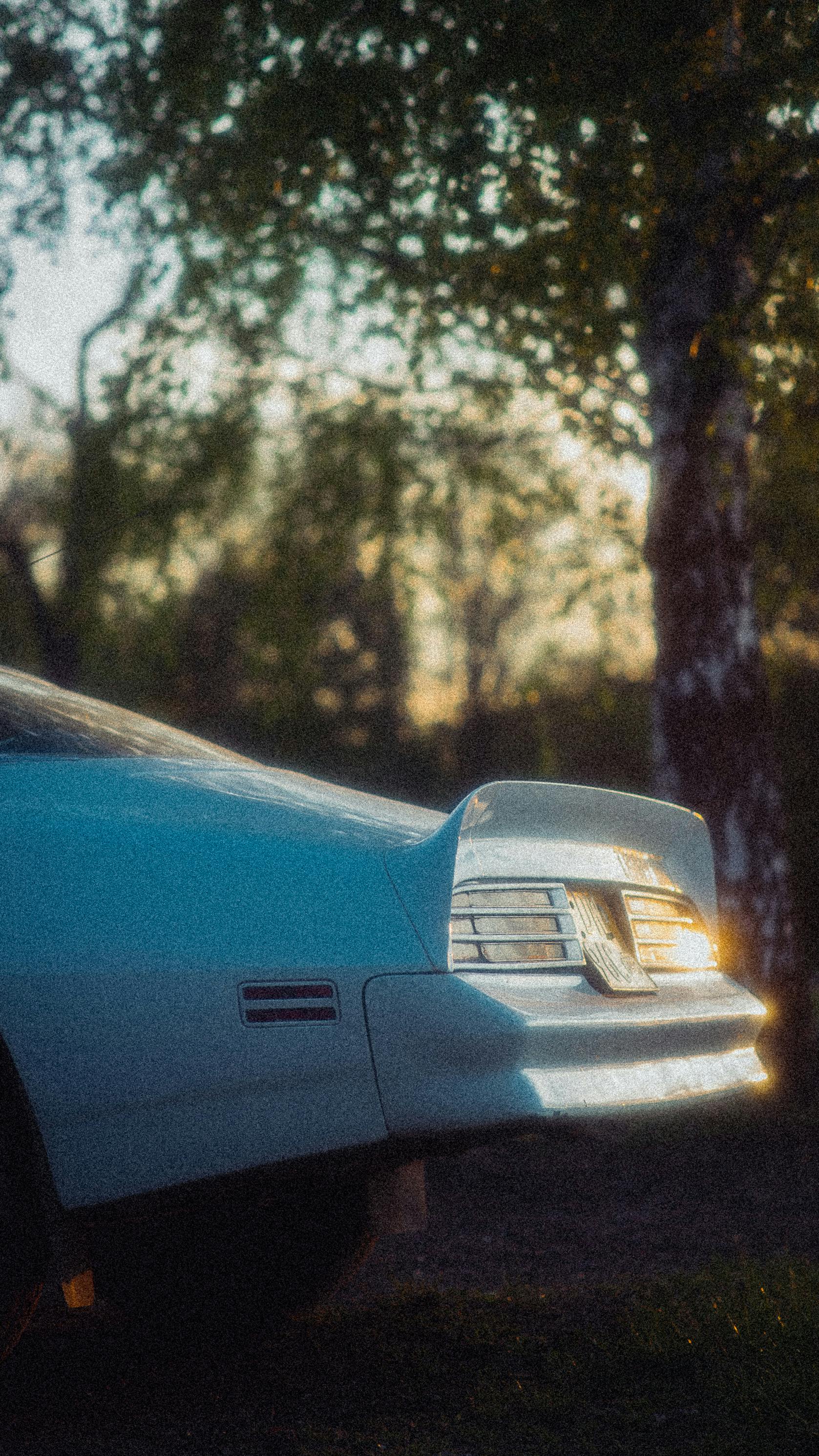 Wet Red Car on Asphalt Road · Free Stock Photo
