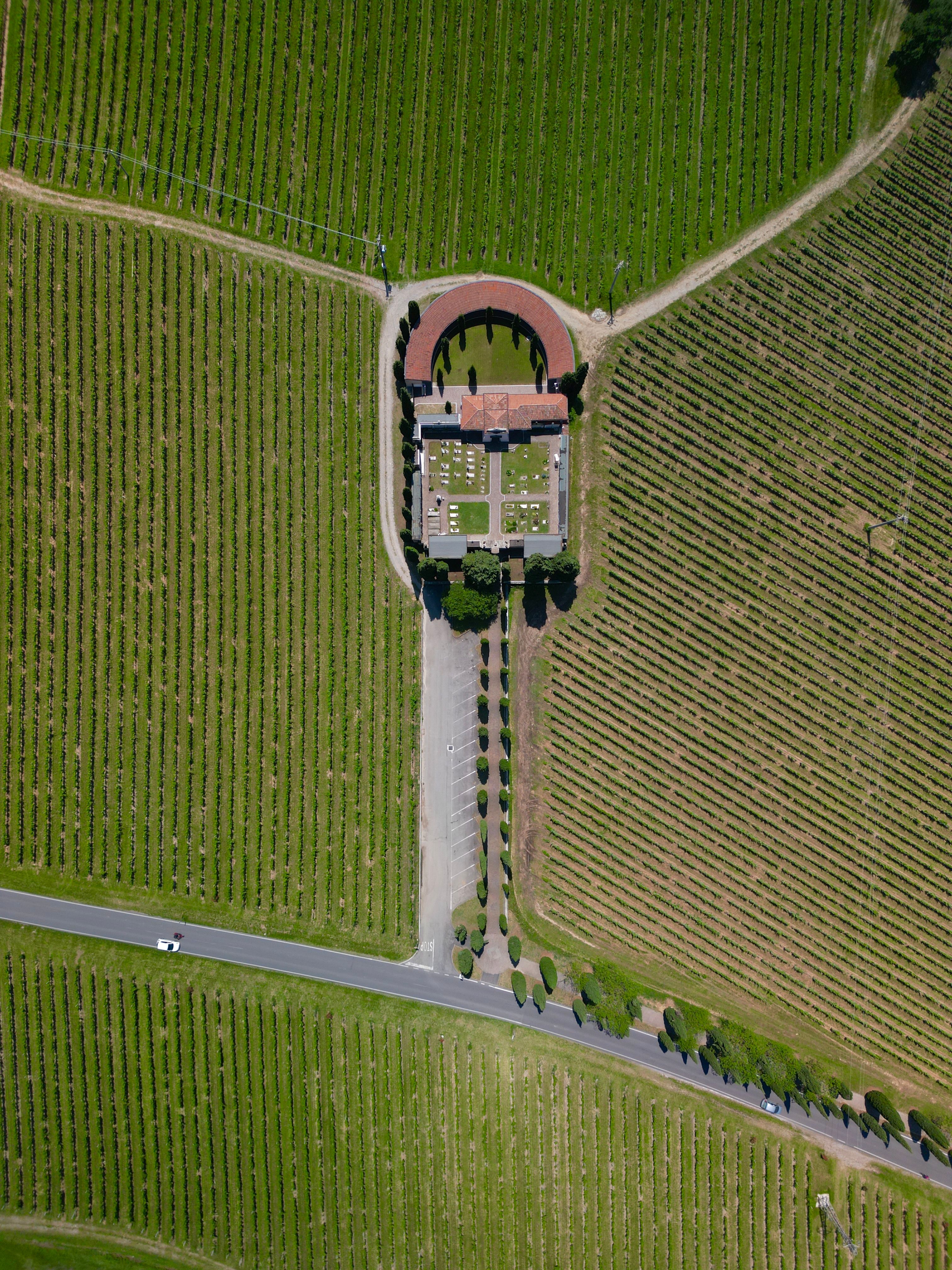 Birds Eye View of Rural Fields · Free Stock Photo