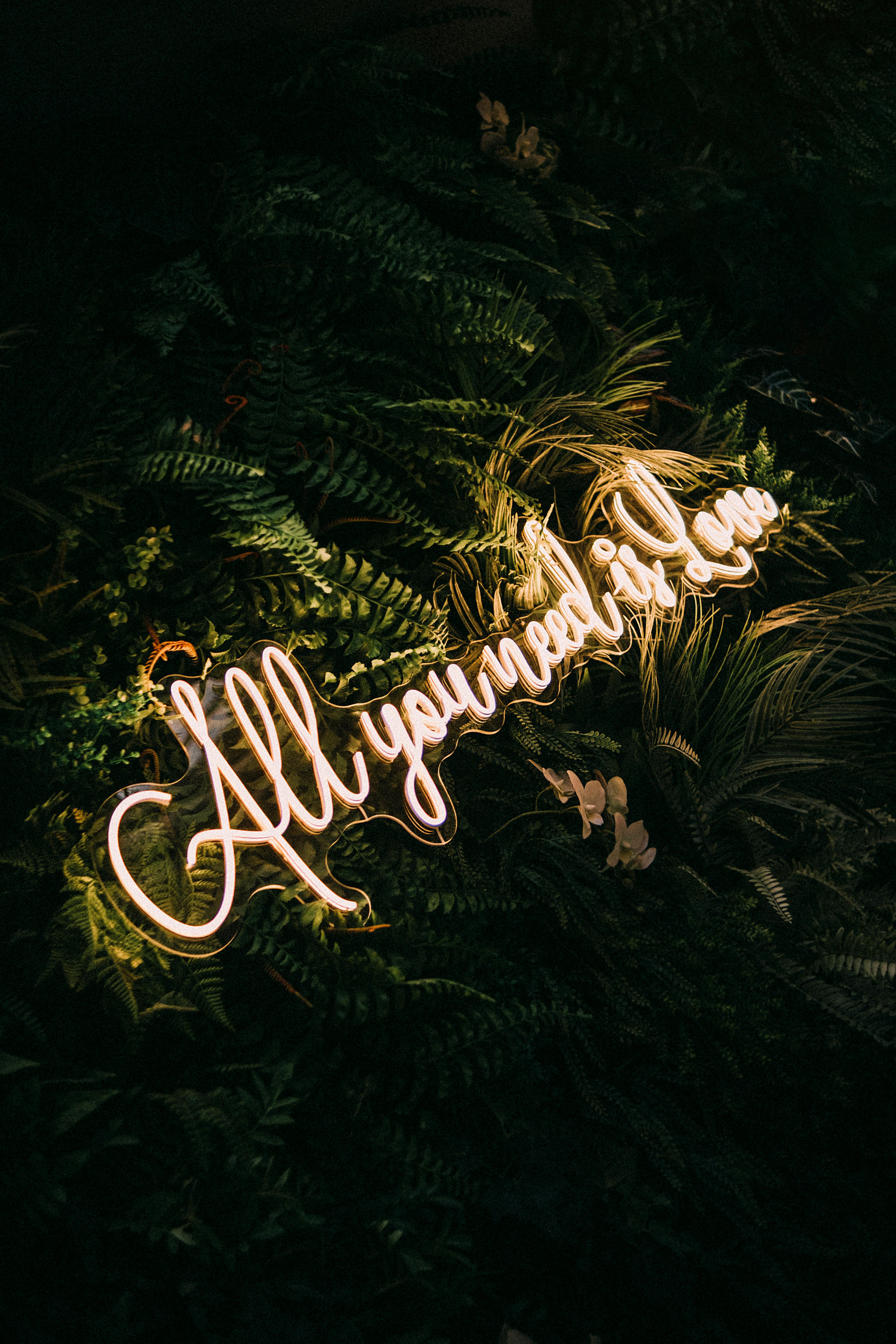 A Neon Sign on the Wall with Green Leaves · Free Stock Photo