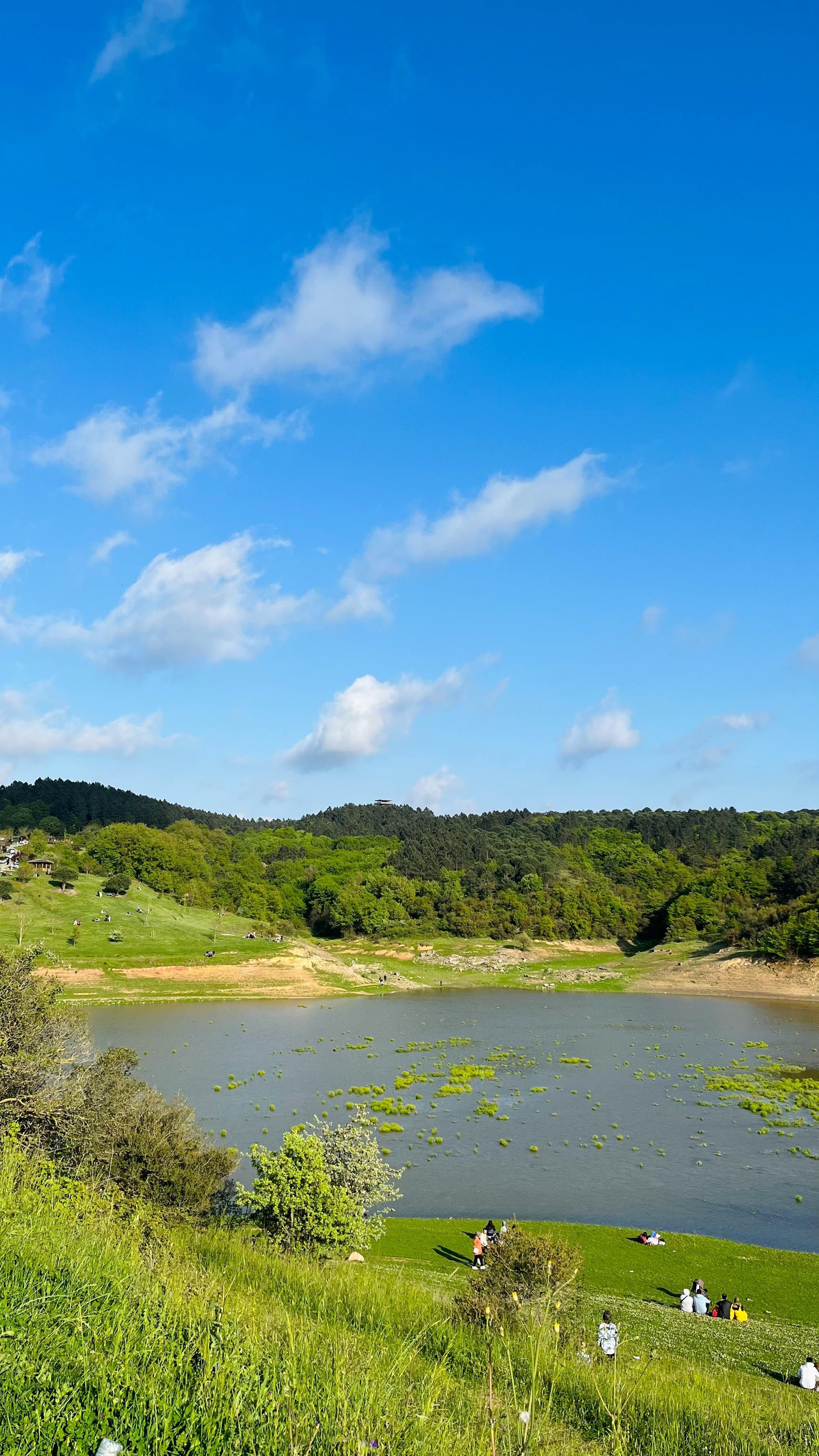 Sumra - Photographie