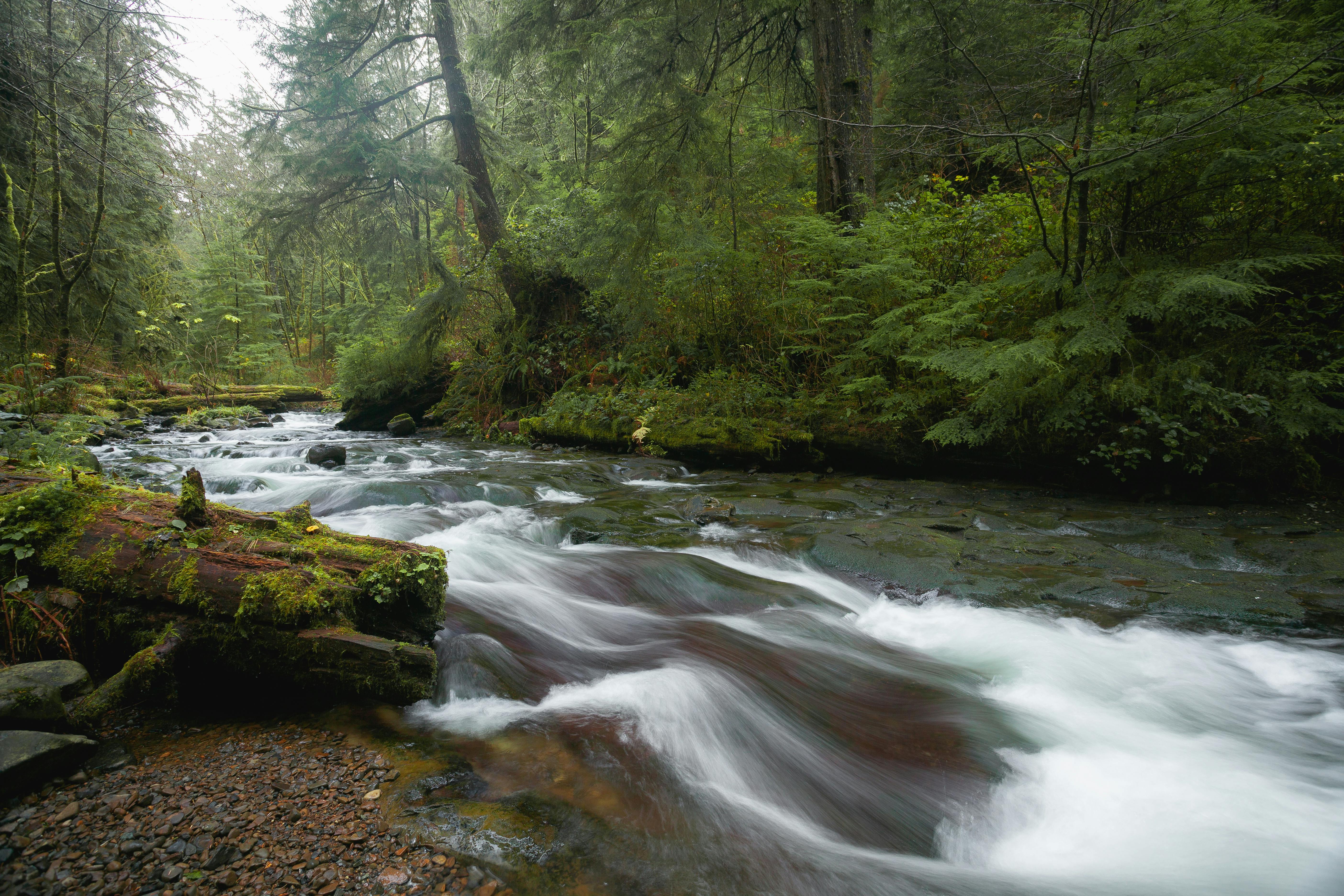 Photo of Stream of Water · Free Stock Photo